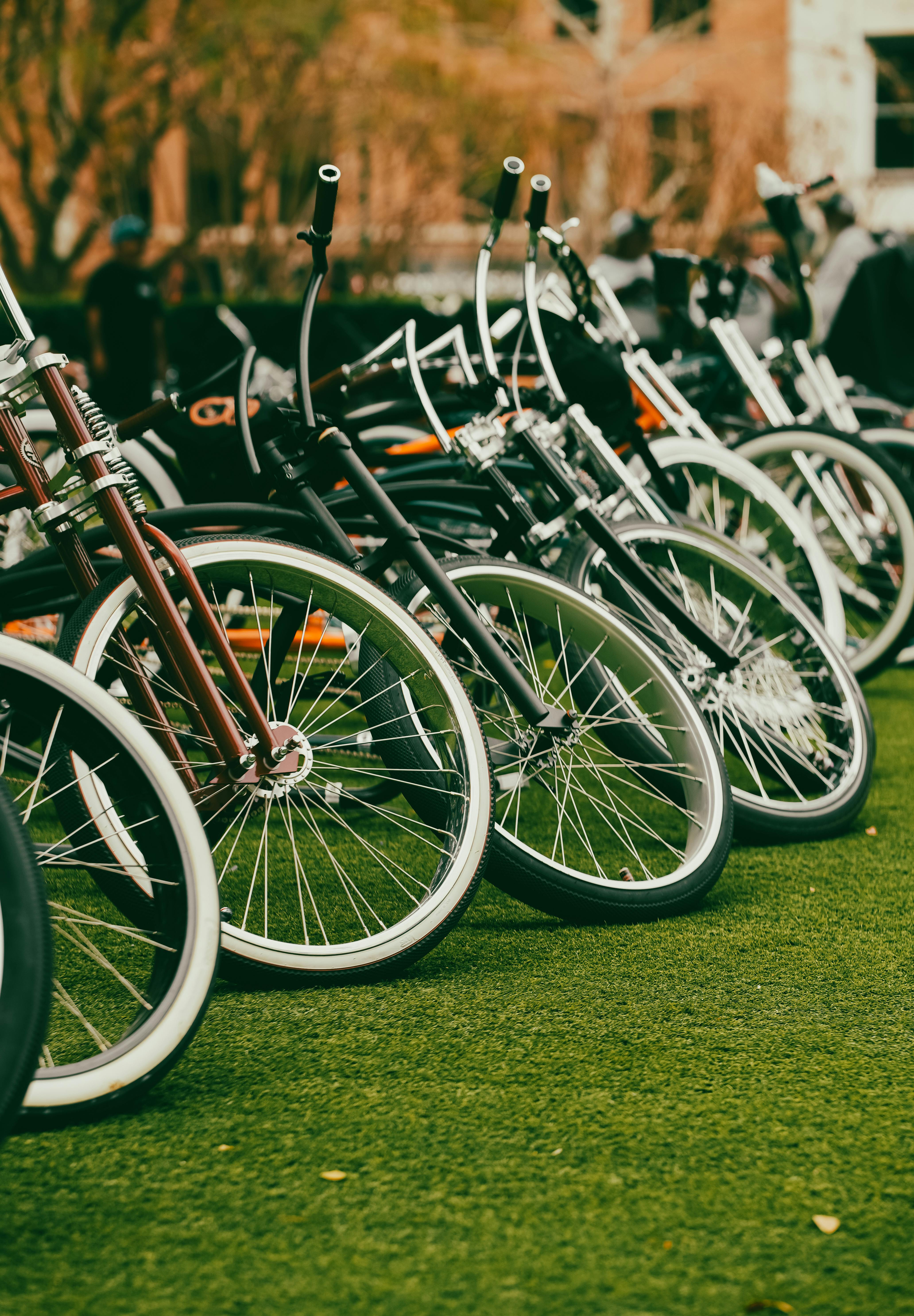 Ian Findley - 攝影