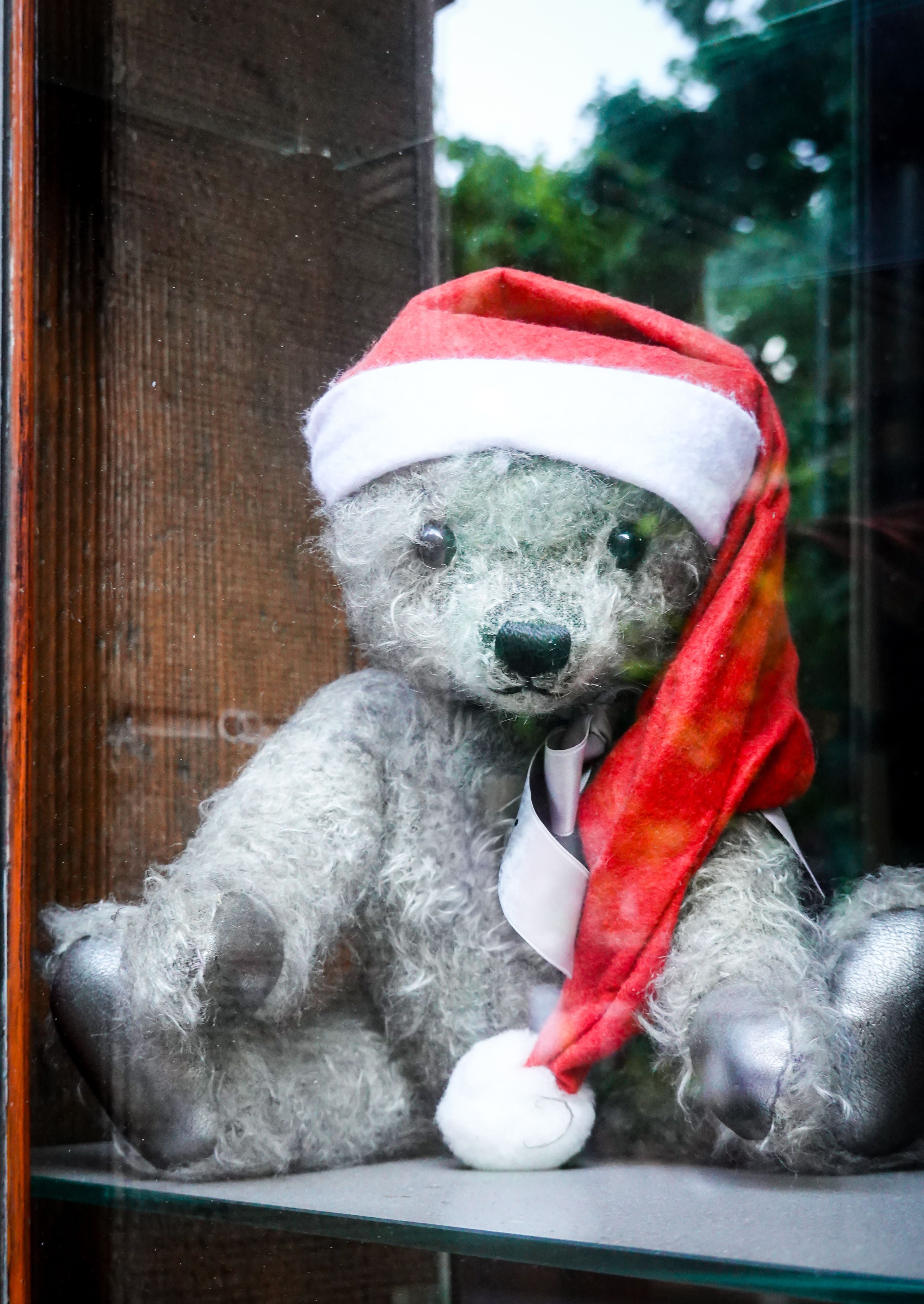 Teddy Bear Gray Photos, Download The BEST Free Teddy Bear Gray Stock ...