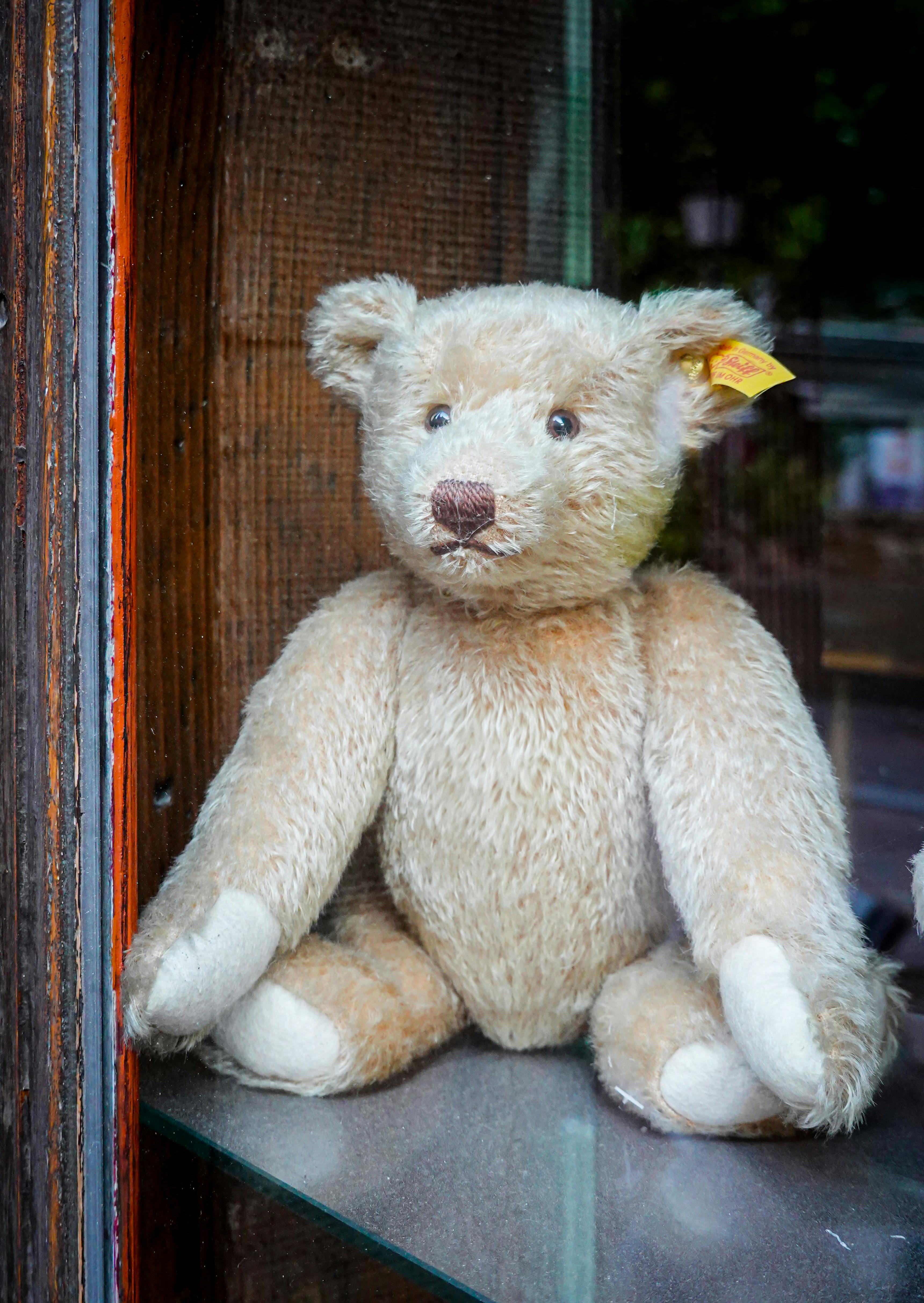 Cute+Girls+Telegraph Photos, Download The BEST Free Cute+Girls ...