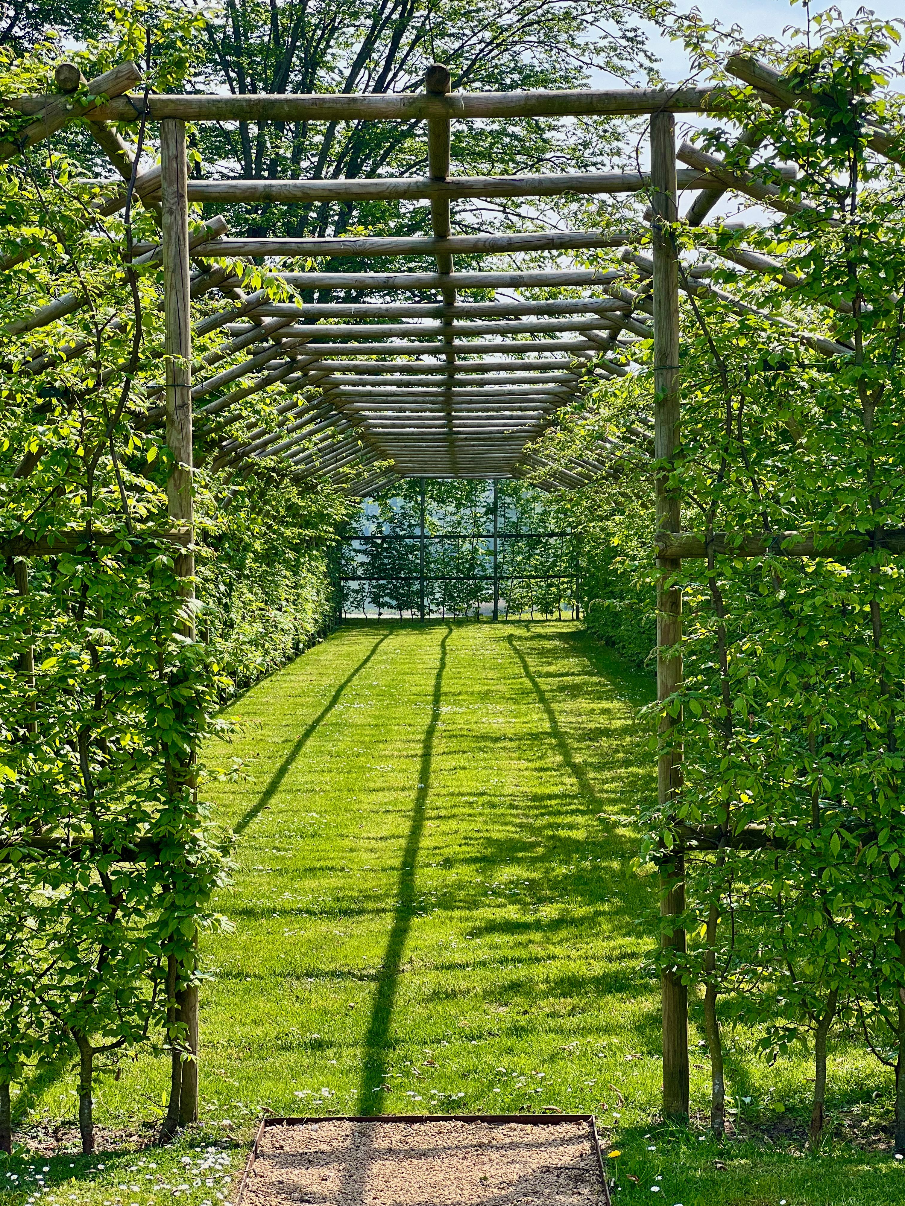 Lush Garden Archway in Spring Landscape · Free Stock Photo