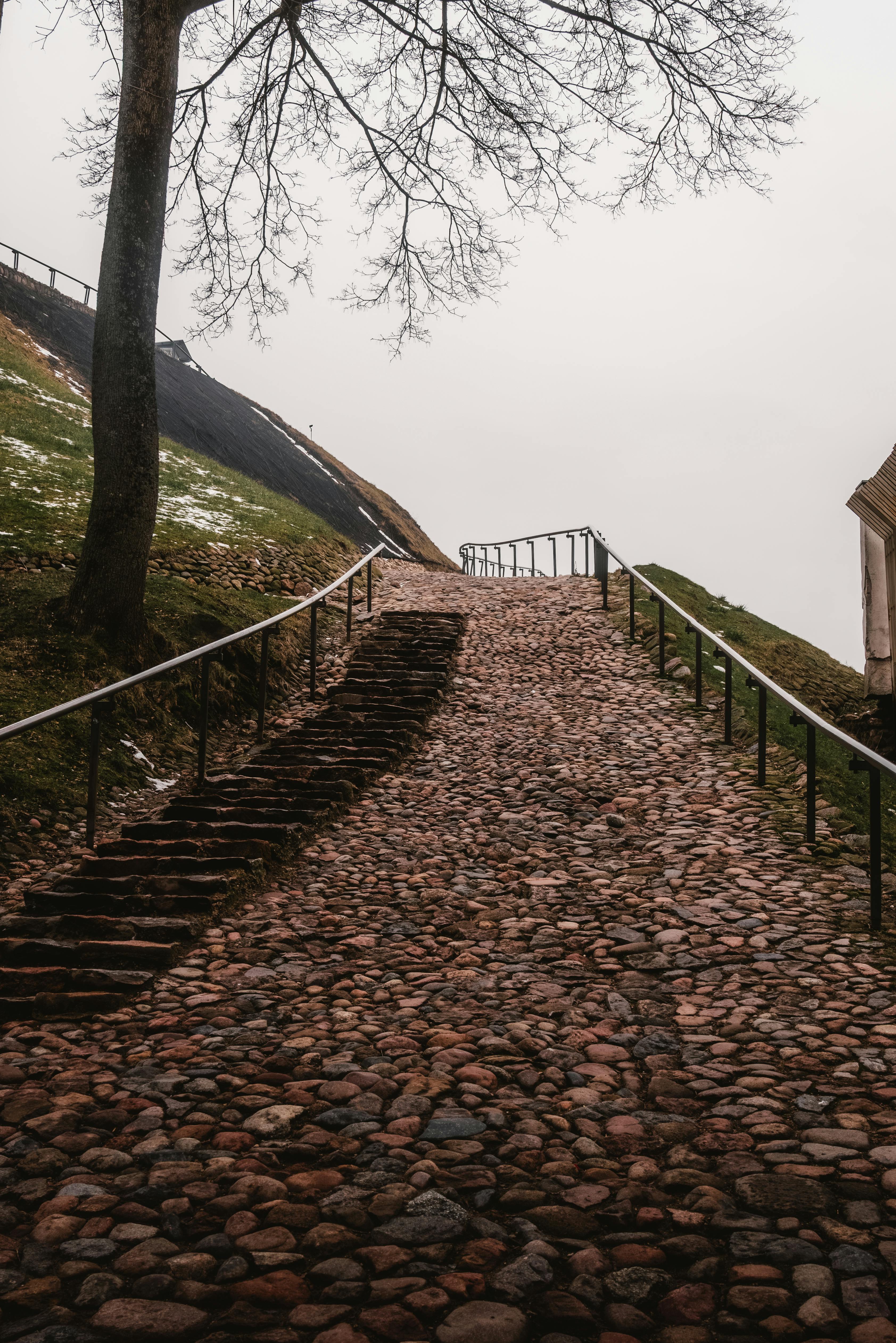 Scenic Cobblestone Pathway in Misty Landscape · Free Stock Photo