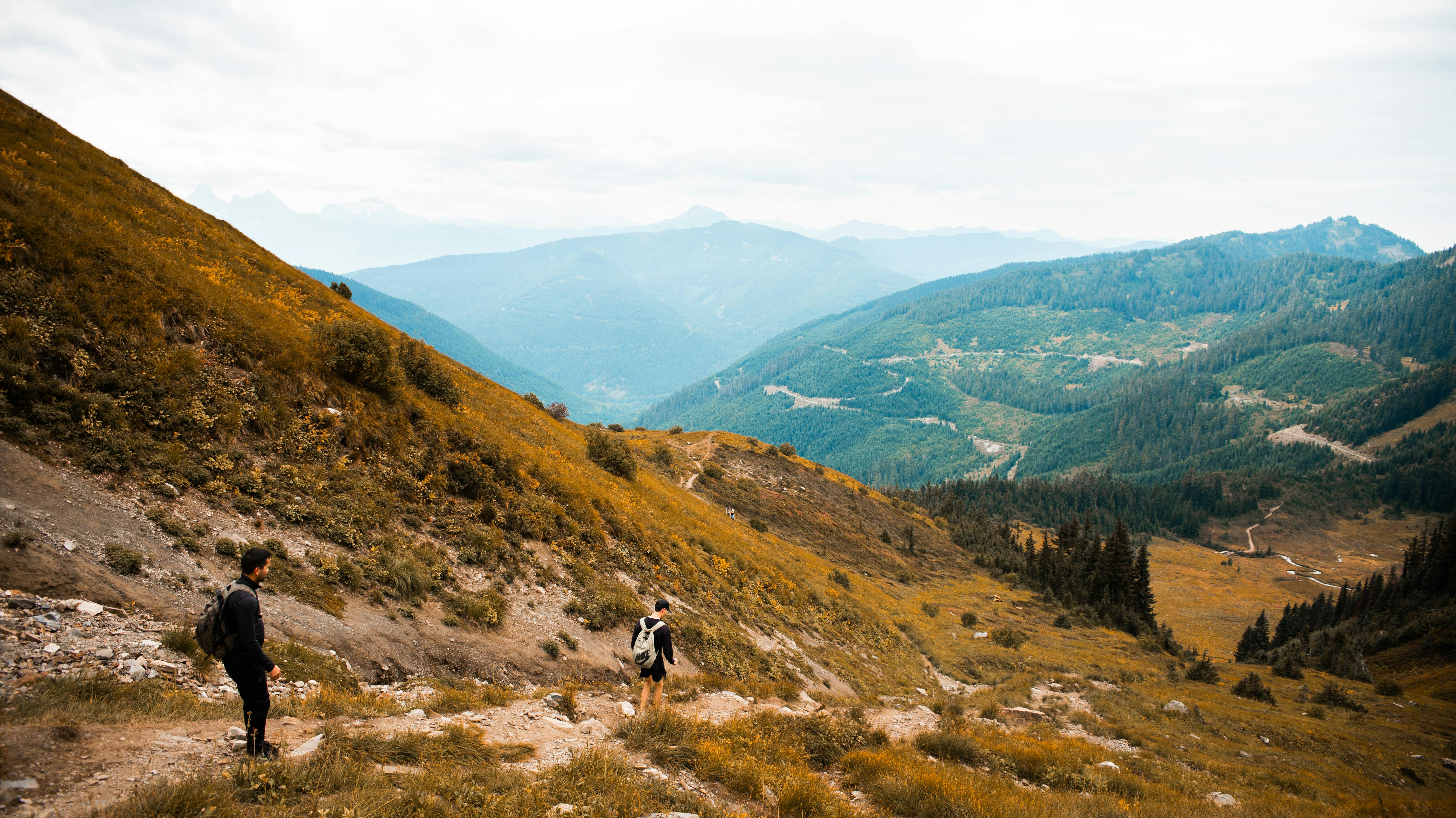 Scenic Hiking Trail in Chilliwack Mountains · Free Stock Photo