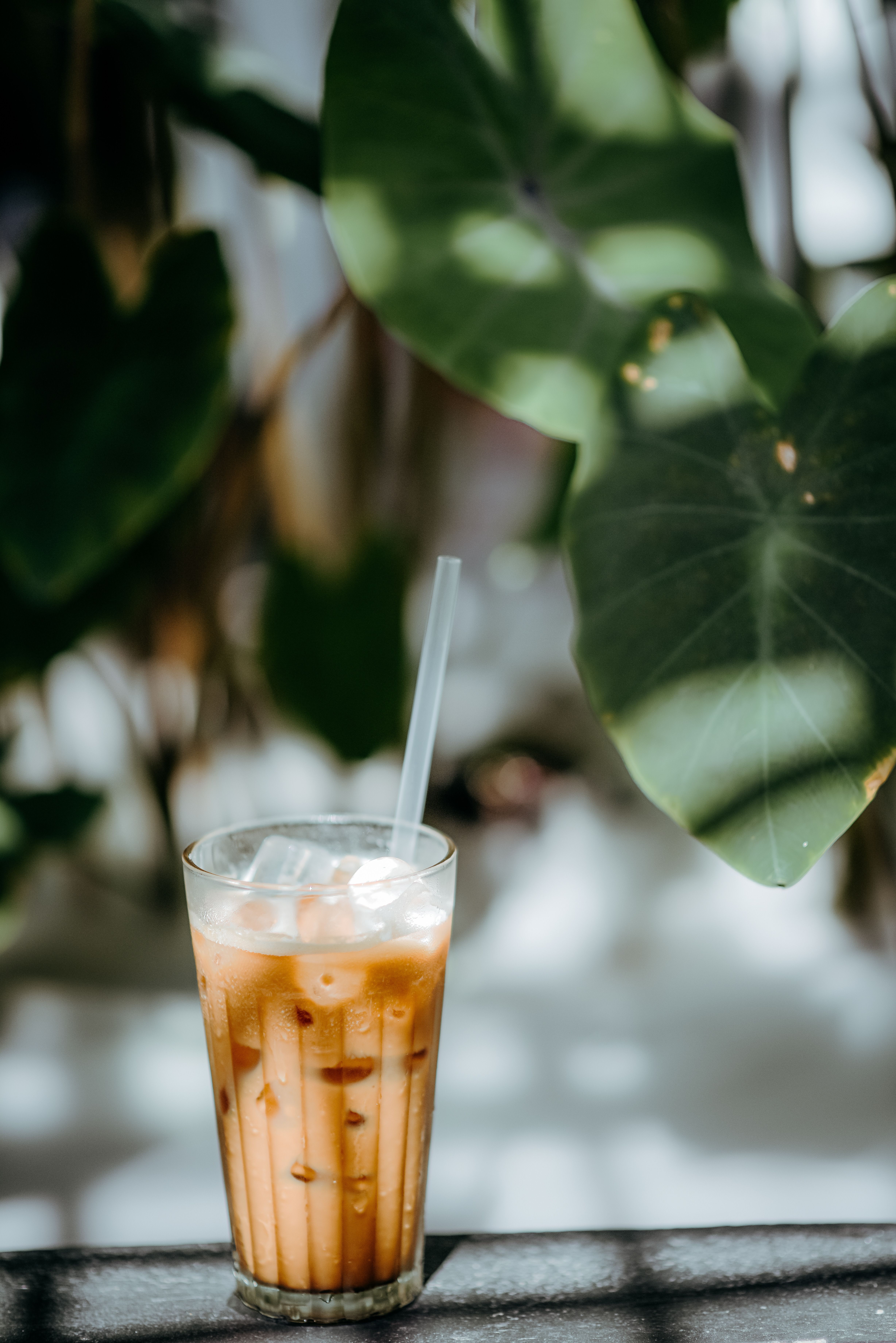 Refreshing Iced Coffee with Leafy Backdrop · Free Stock Photo