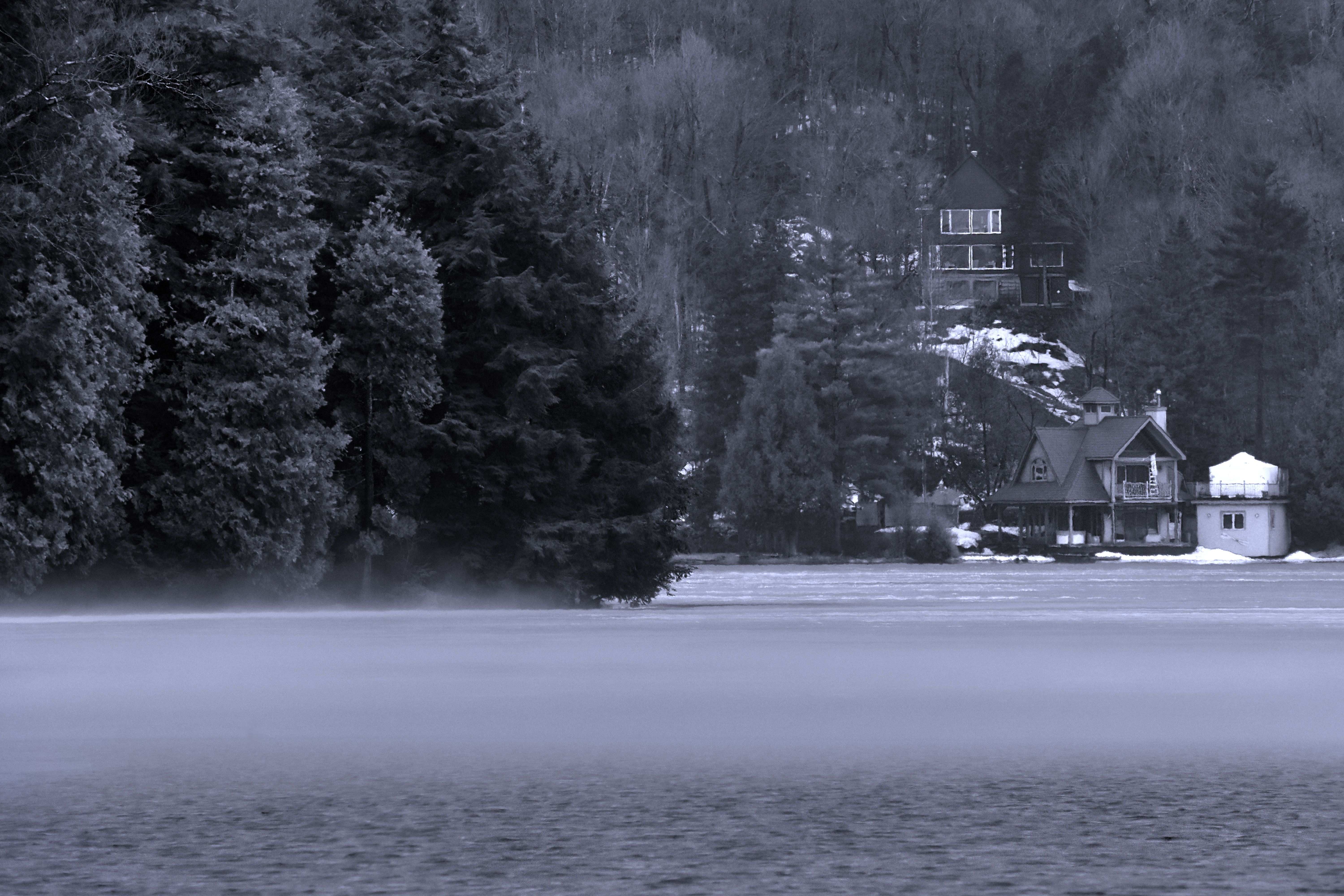 Misty Lakefront House in Winter Forest Setting · Free Stock Photo