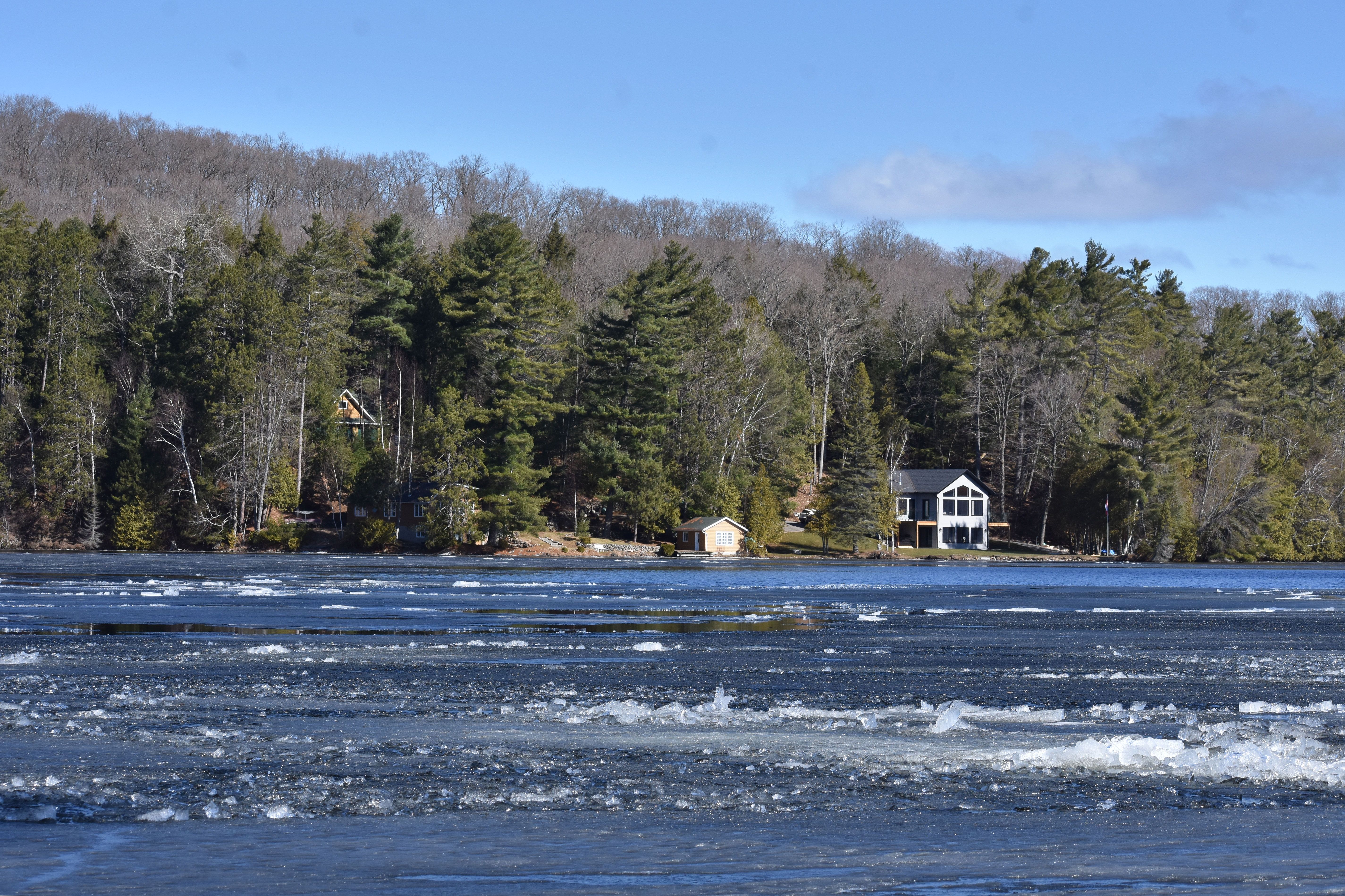 Scenic Winter Lakefront with Icy Waters and Forest · Free Stock Photo