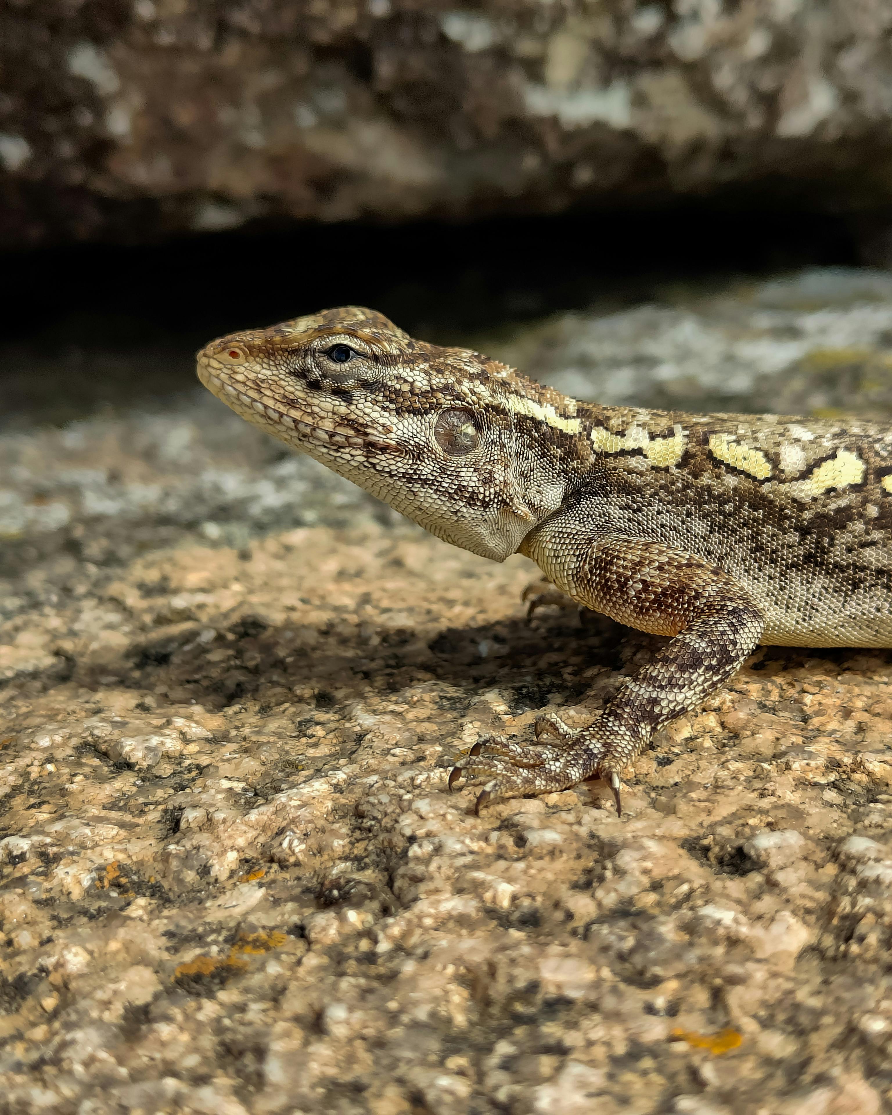 Dubio+Extreme+Photos Photos, Download The BEST Free Dubio+Extreme ...