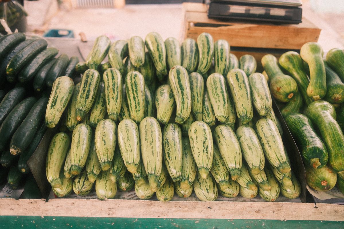 What to Plant in June 2026: US Summer Garden Guide