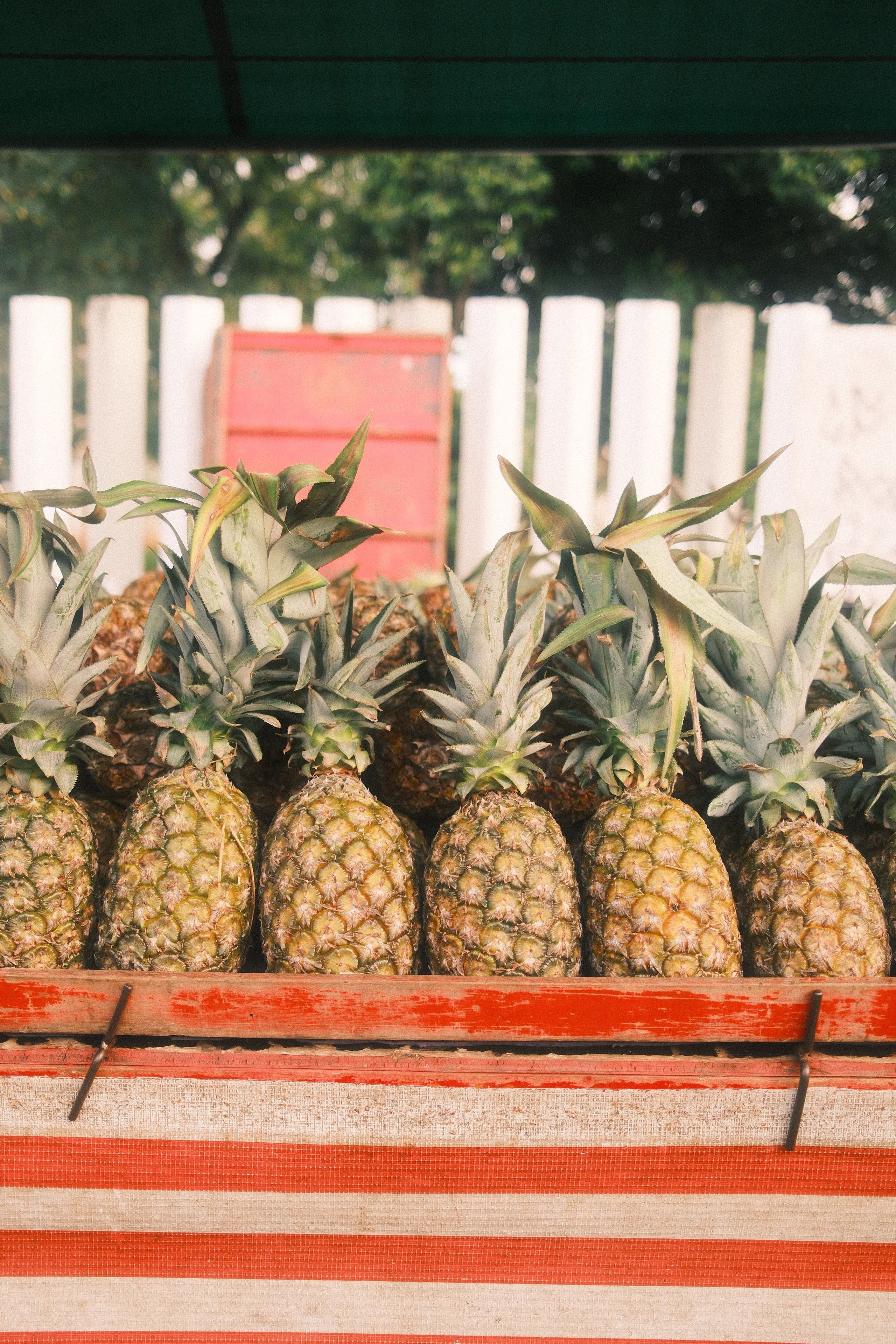 Fresh Pineapples Arranged in Outdoor Market Stall · Free Stock Photo