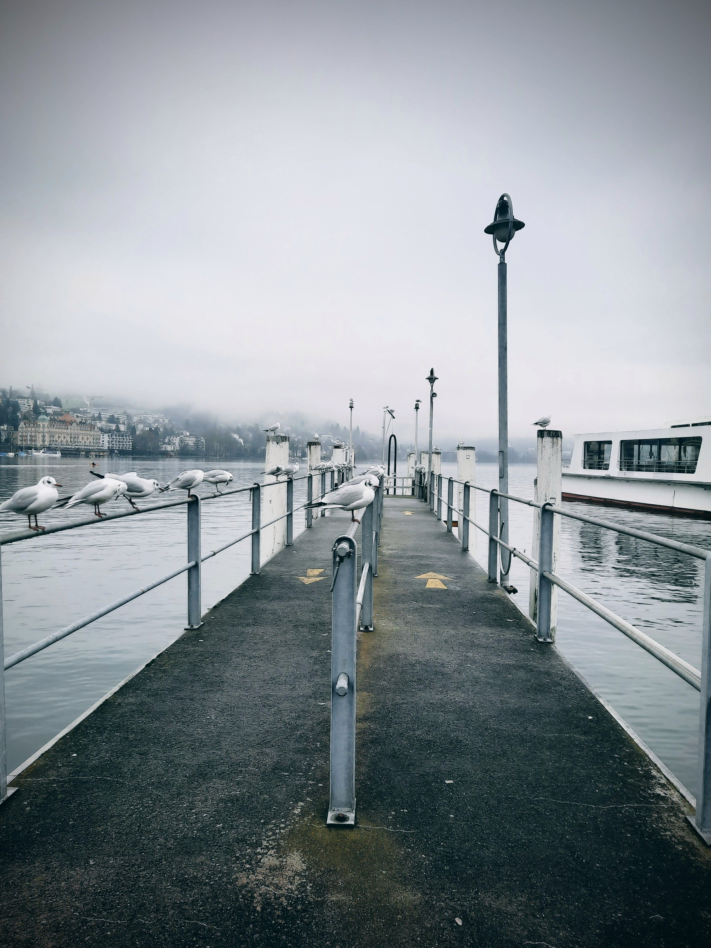 Dull Photos, Download The BEST Free Dull Stock Photos & HD Images