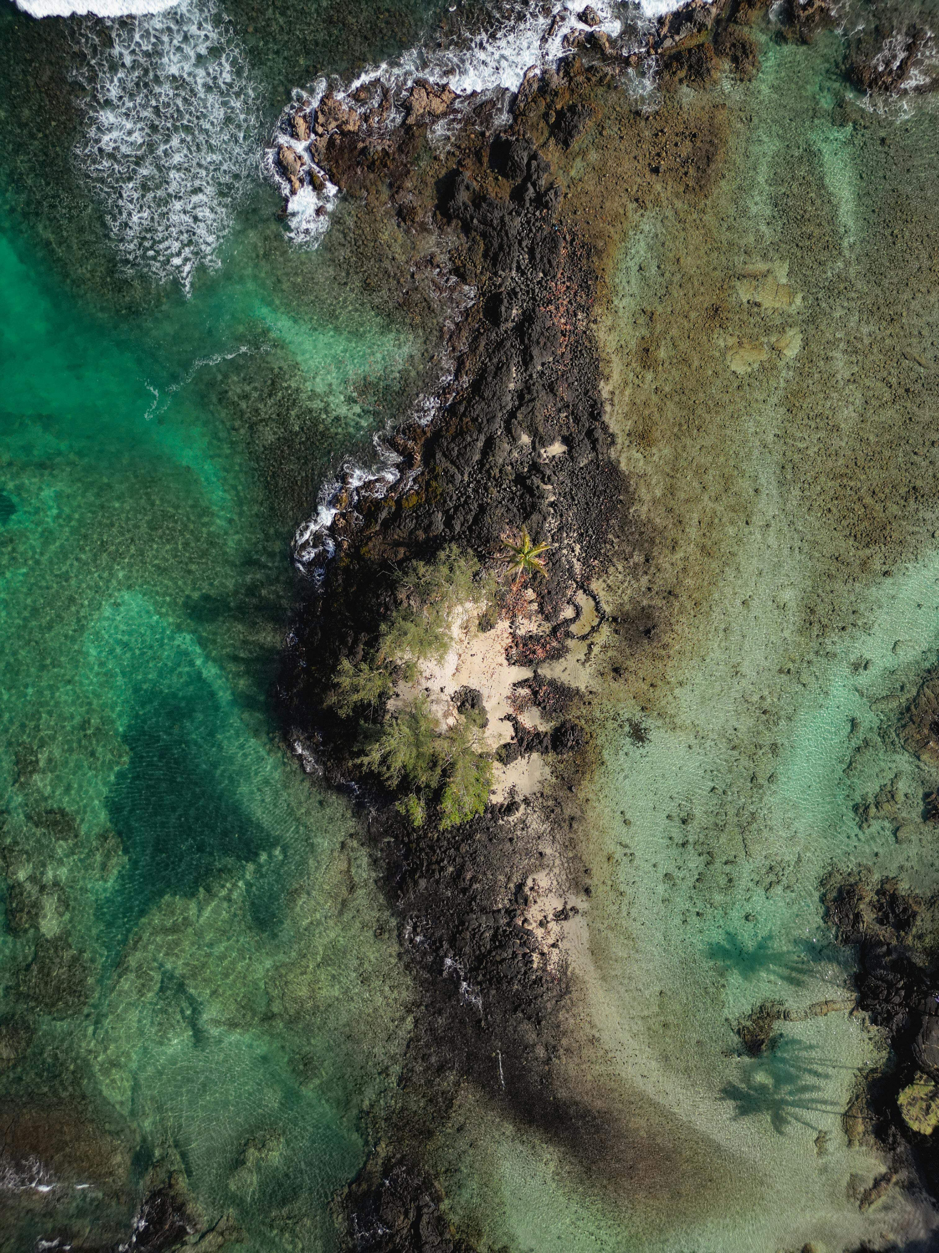 Hi There Photos, Download The BEST Free Hi There Stock Photos & HD Images