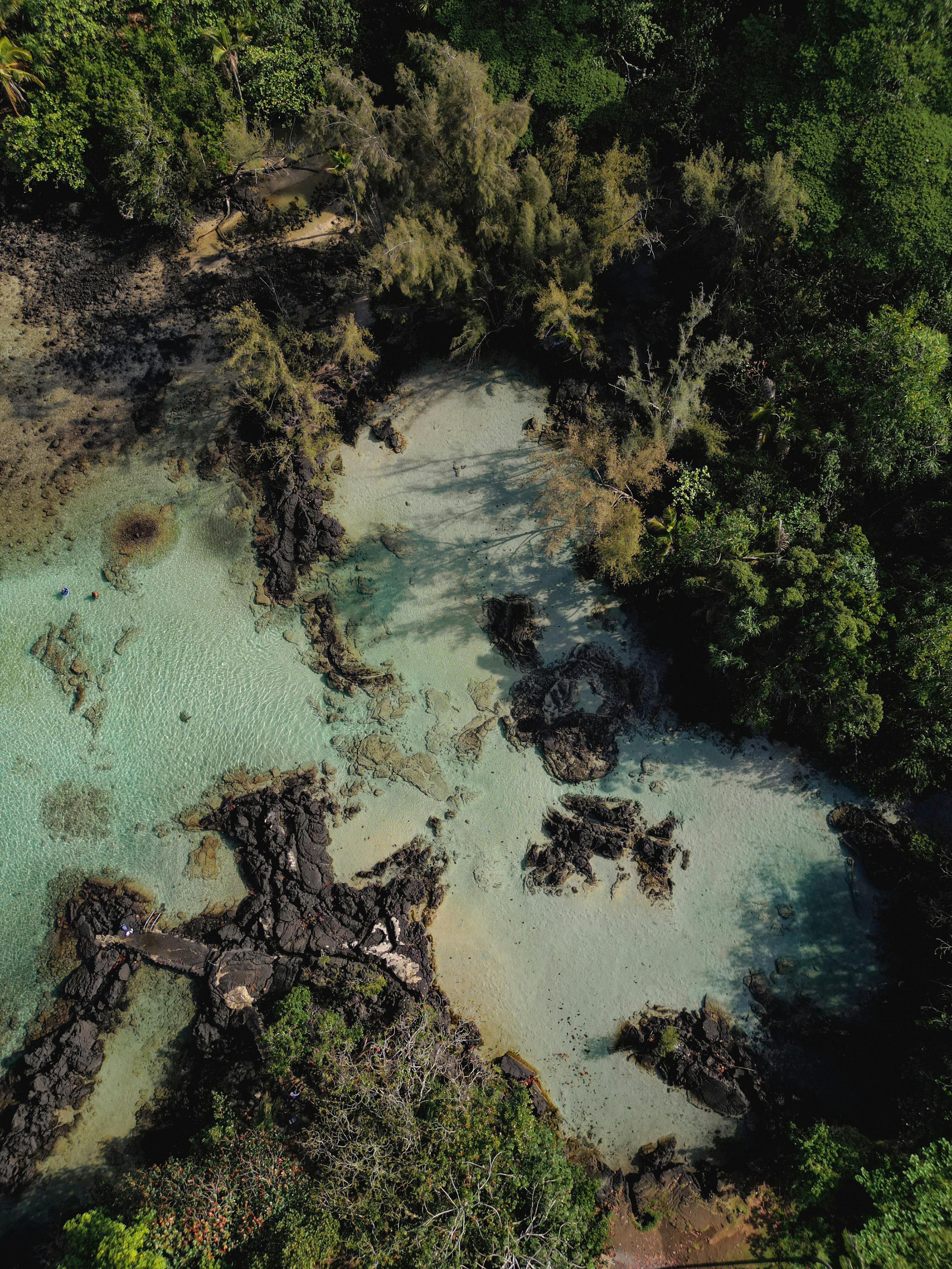 Aerial View of Hawaiian Coral Reefs and Lava Rocks · Free Stock Photo