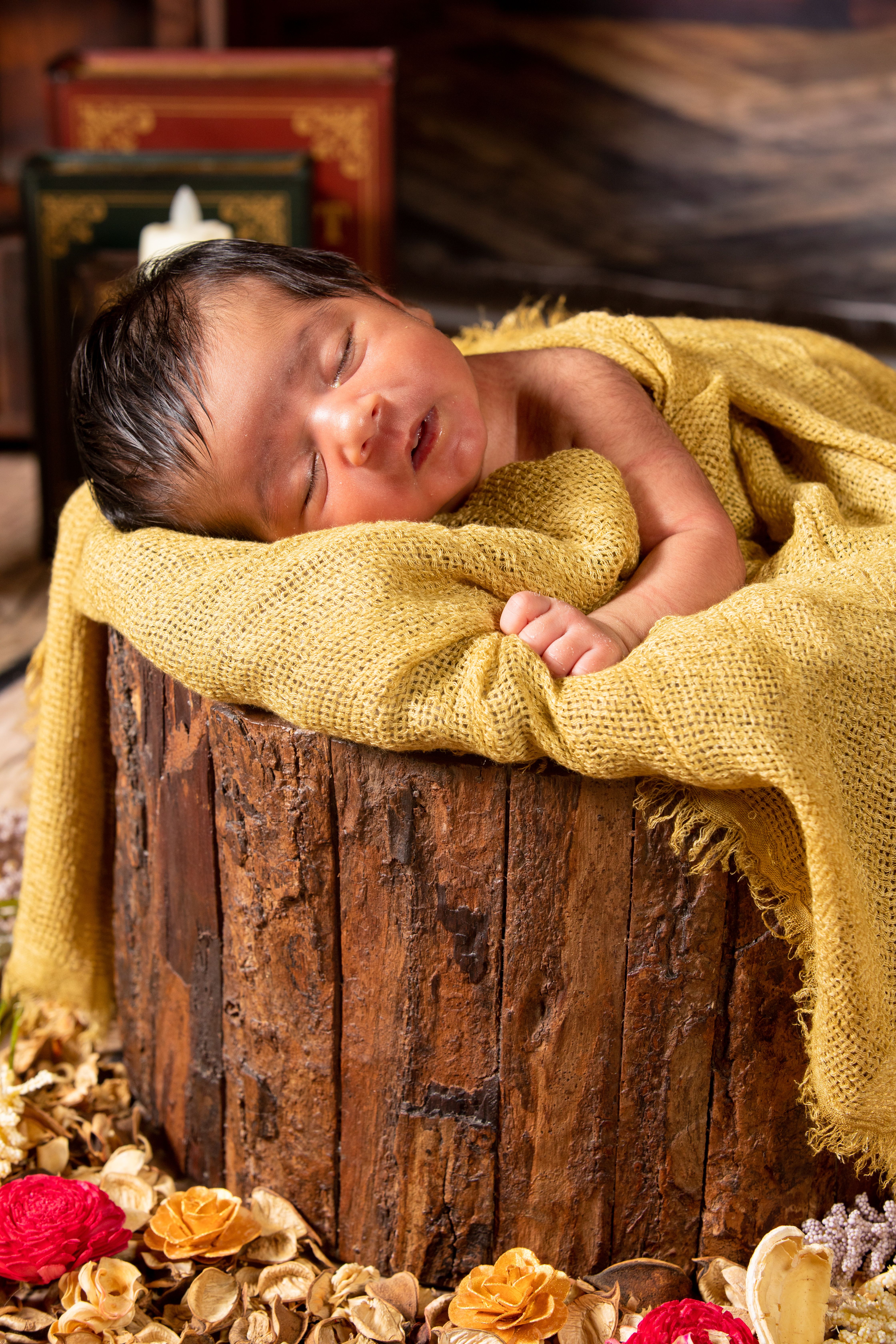Peaceful Newborn Sleeping on Wooden Log · Free Stock Photo