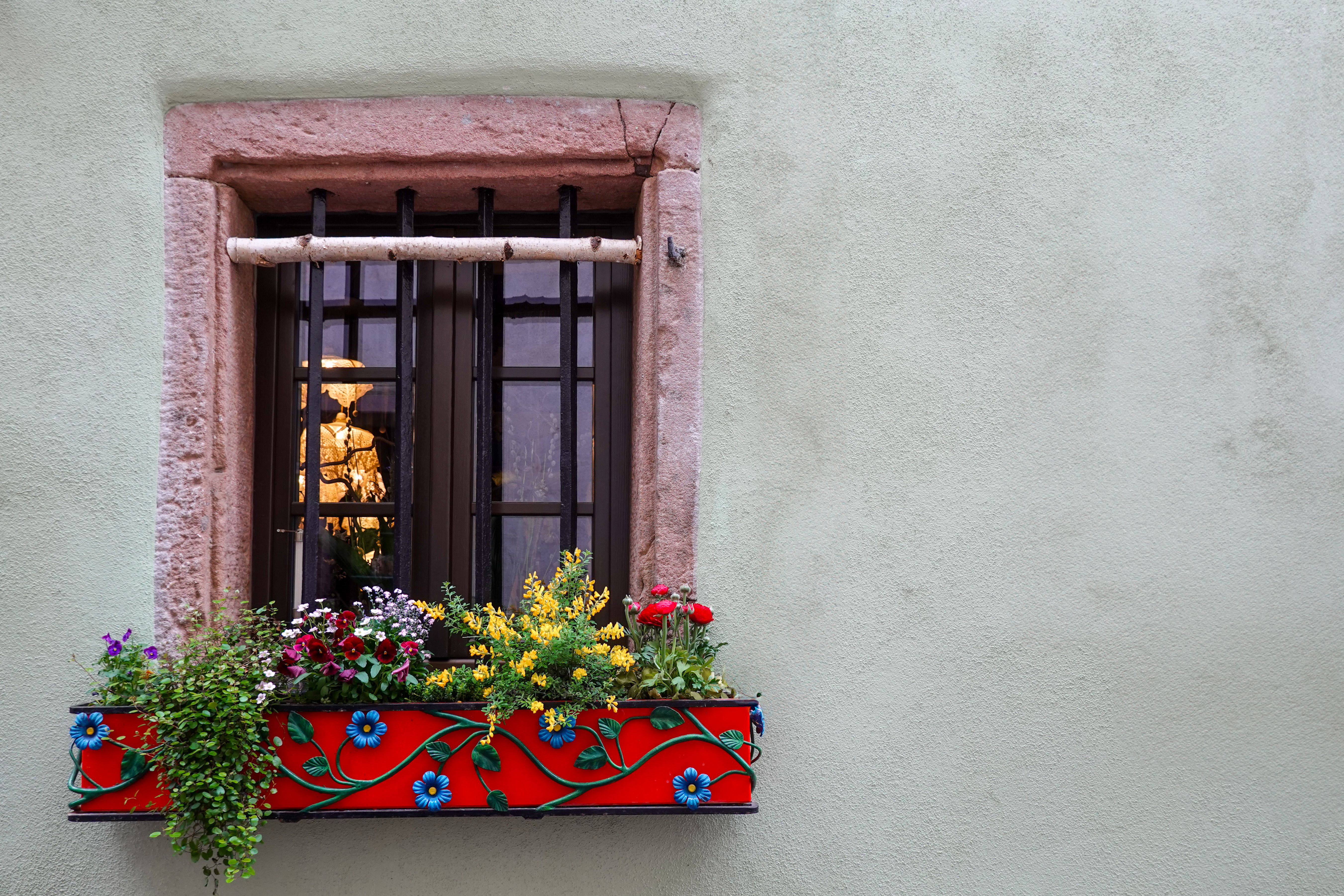 Charming Window with Decorative Flower Box · Free Stock Photo