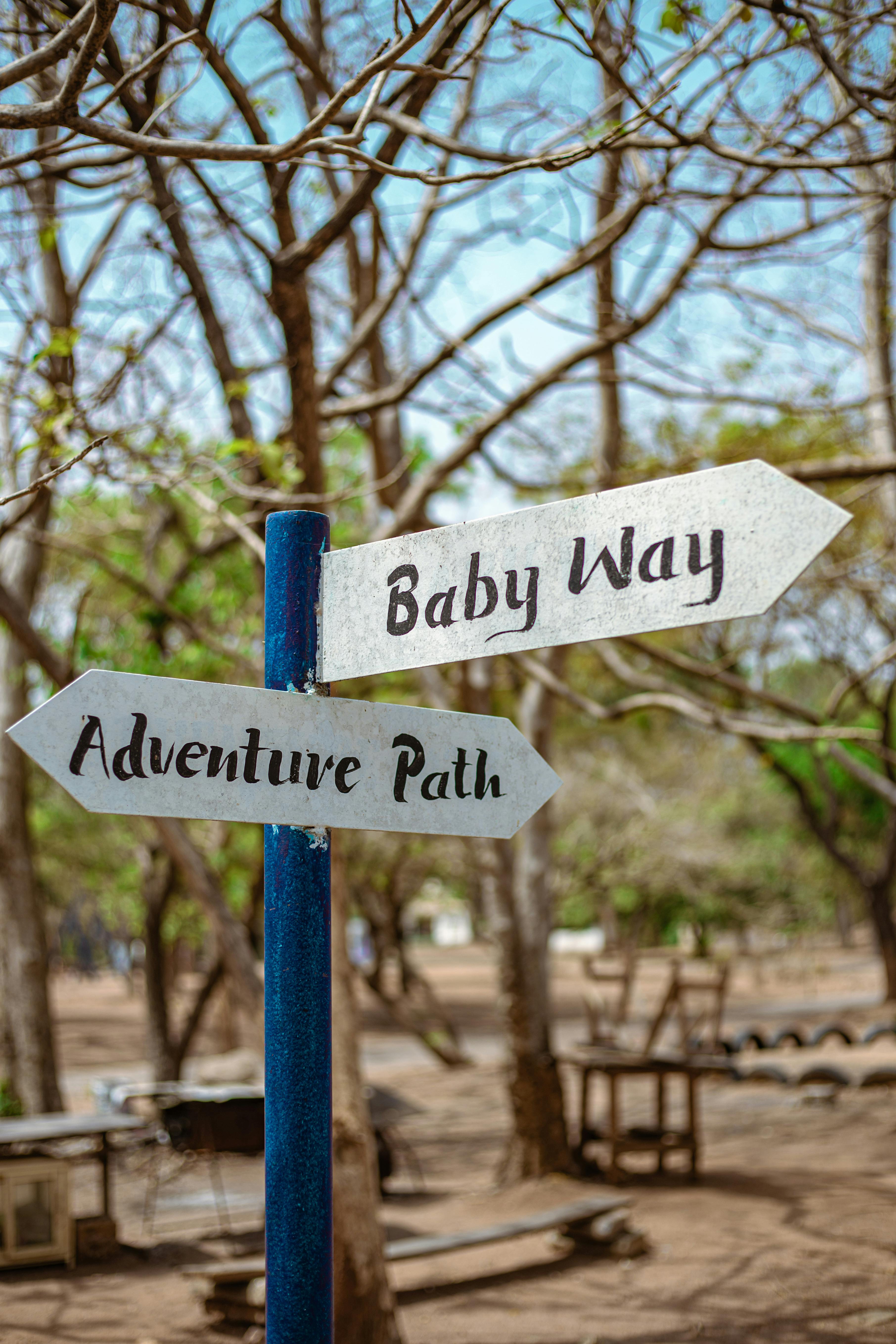 Rustic Signpost Points to Baby Way and Adventure Path · Free Stock Photo