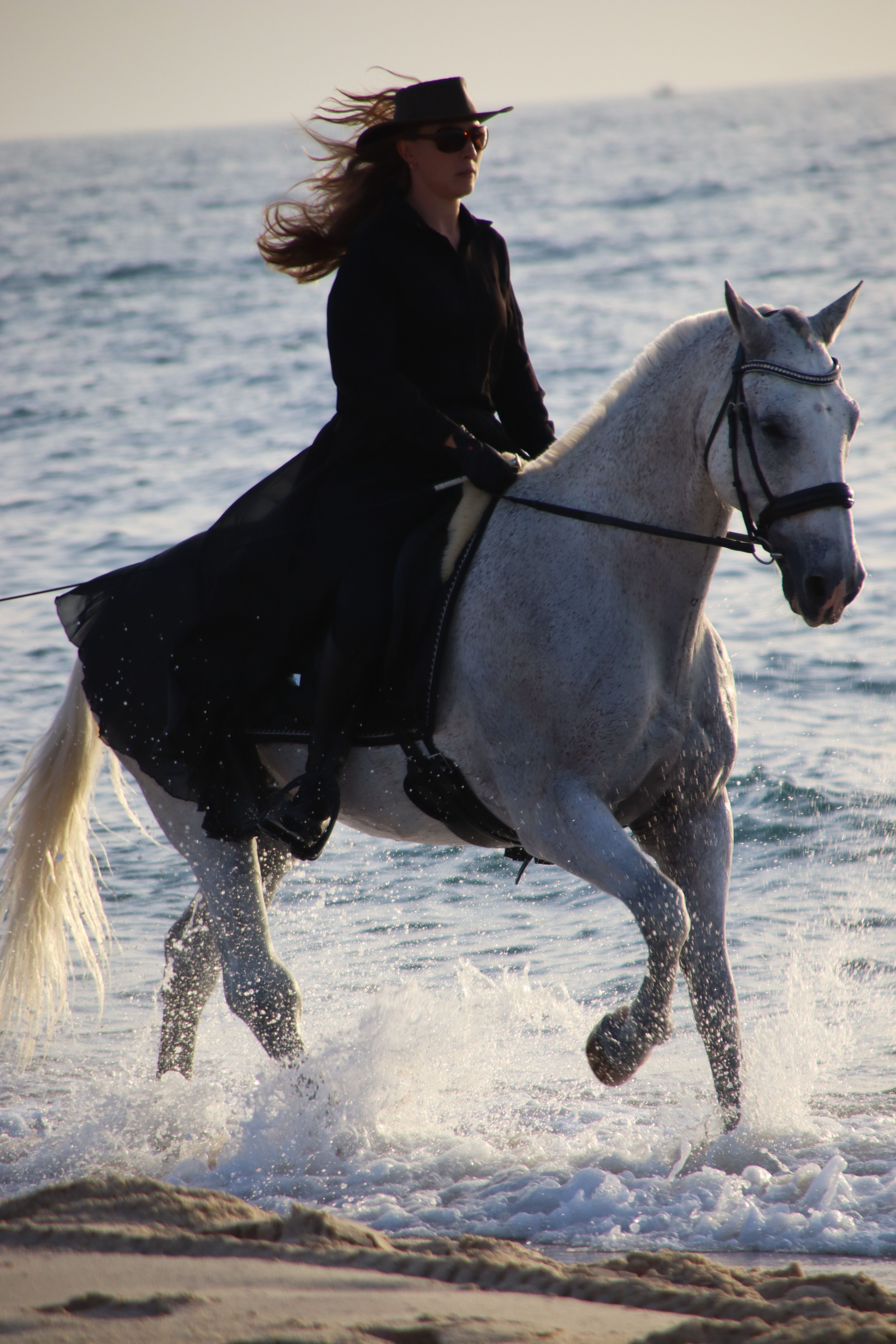 Equestrian Ride Along Nitzanim Beach in Israel · Free Stock Photo