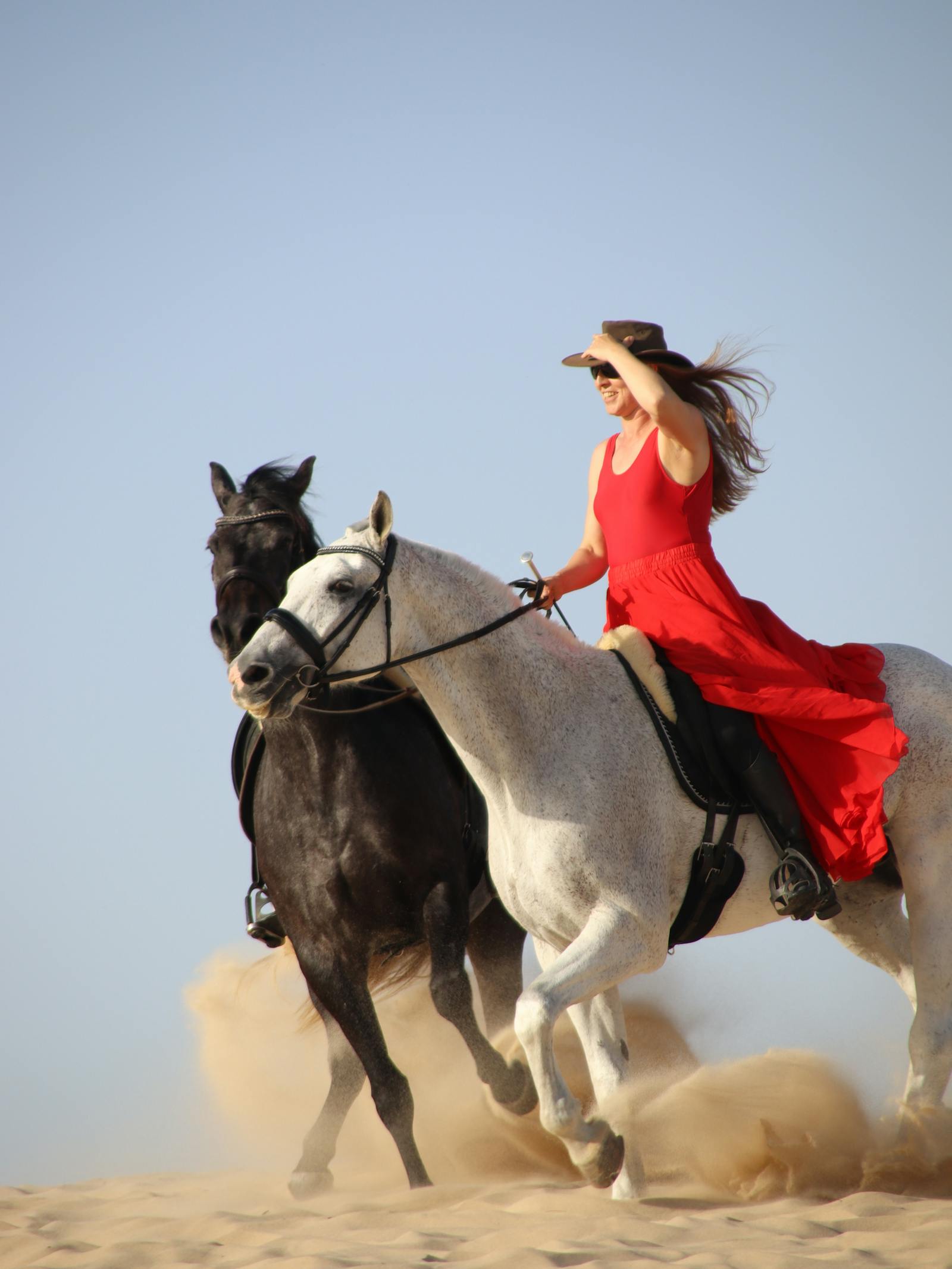 Horse Rider Photos, Download The BEST Free Horse Rider Stock Photos ...