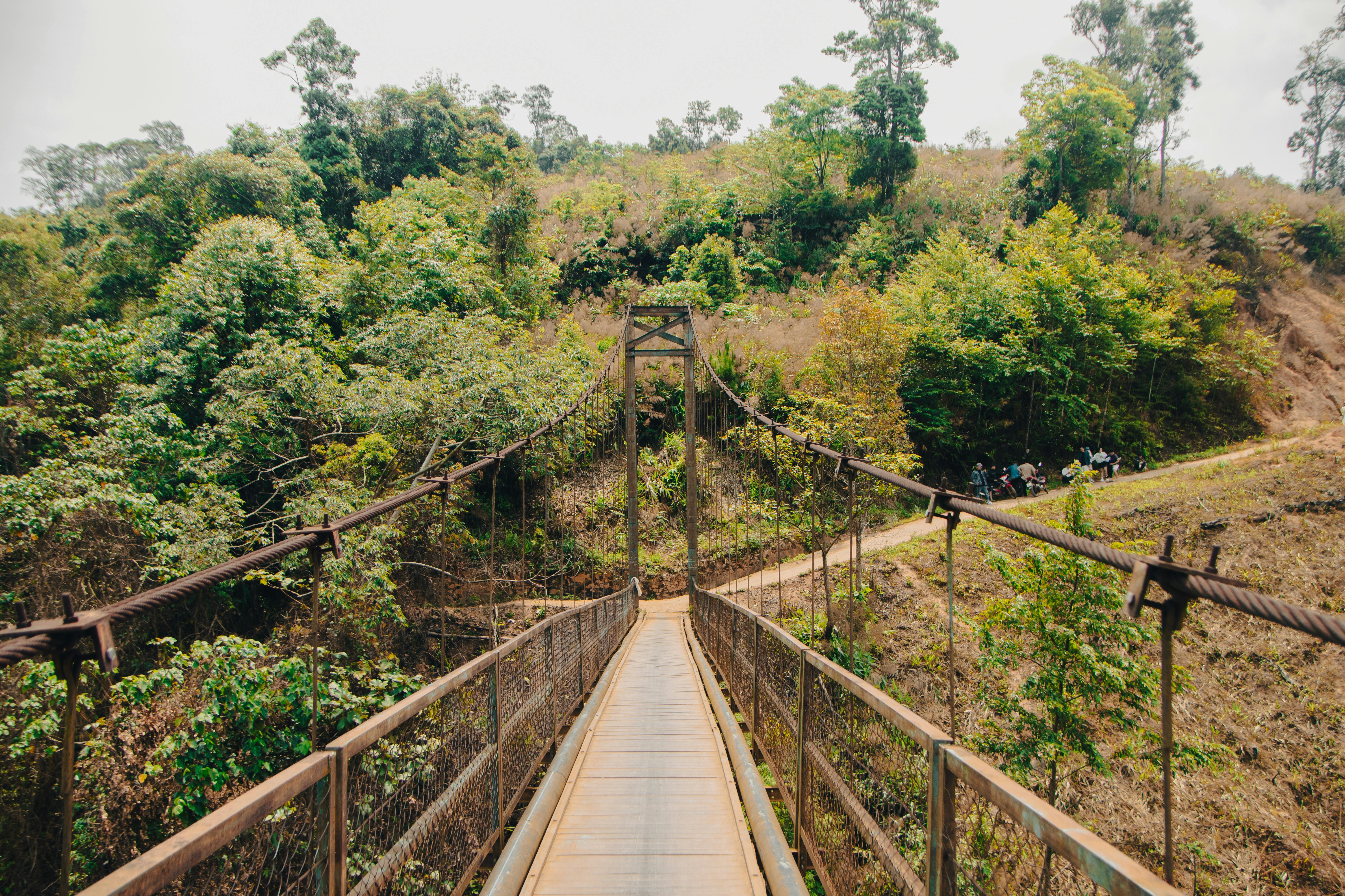 Suspension Bridge in Gia Lai, Vietnam's Lush Landscape · Free Stock Photo
