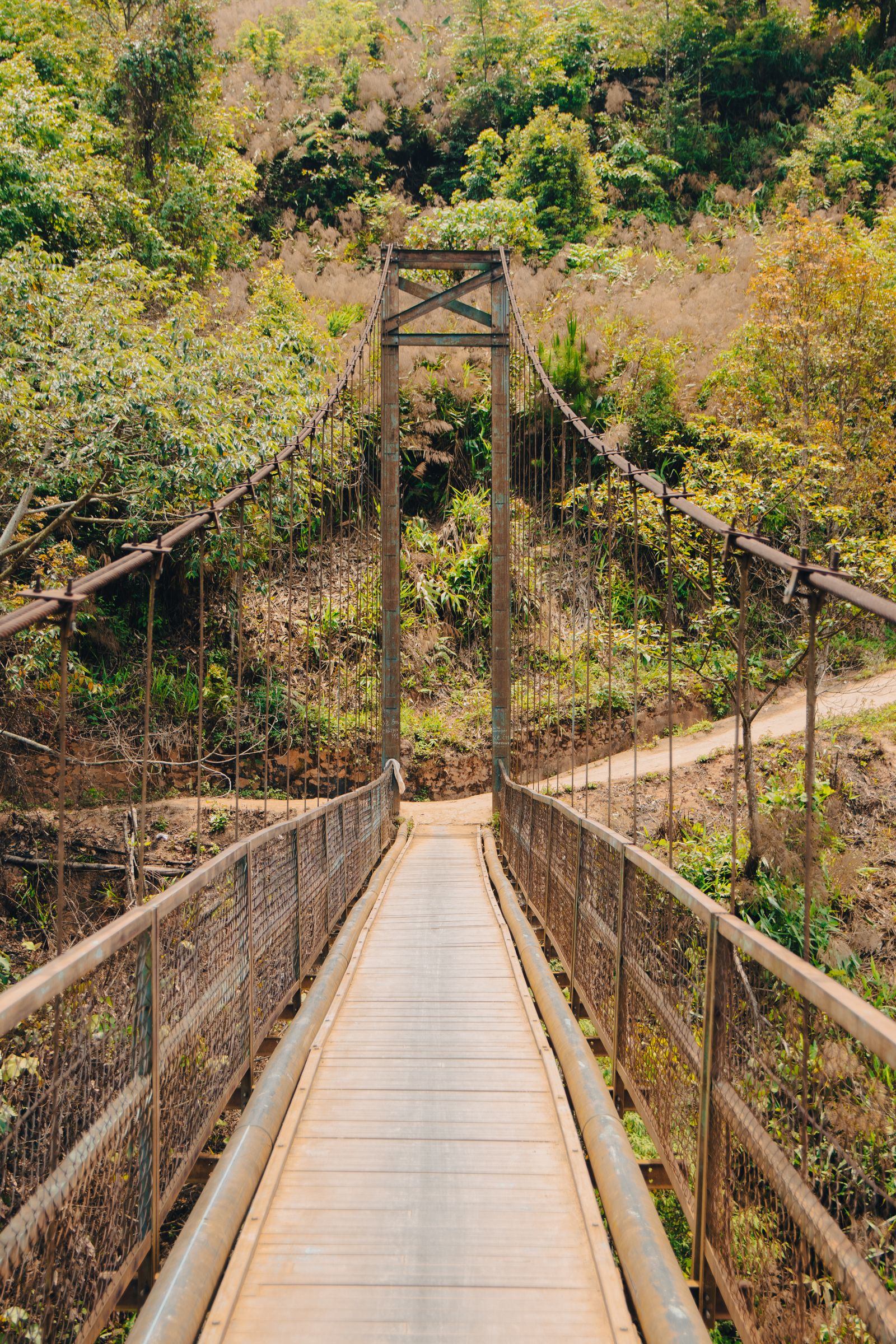 Suspension Bridge Photos, Download The BEST Free Suspension Bridge ...