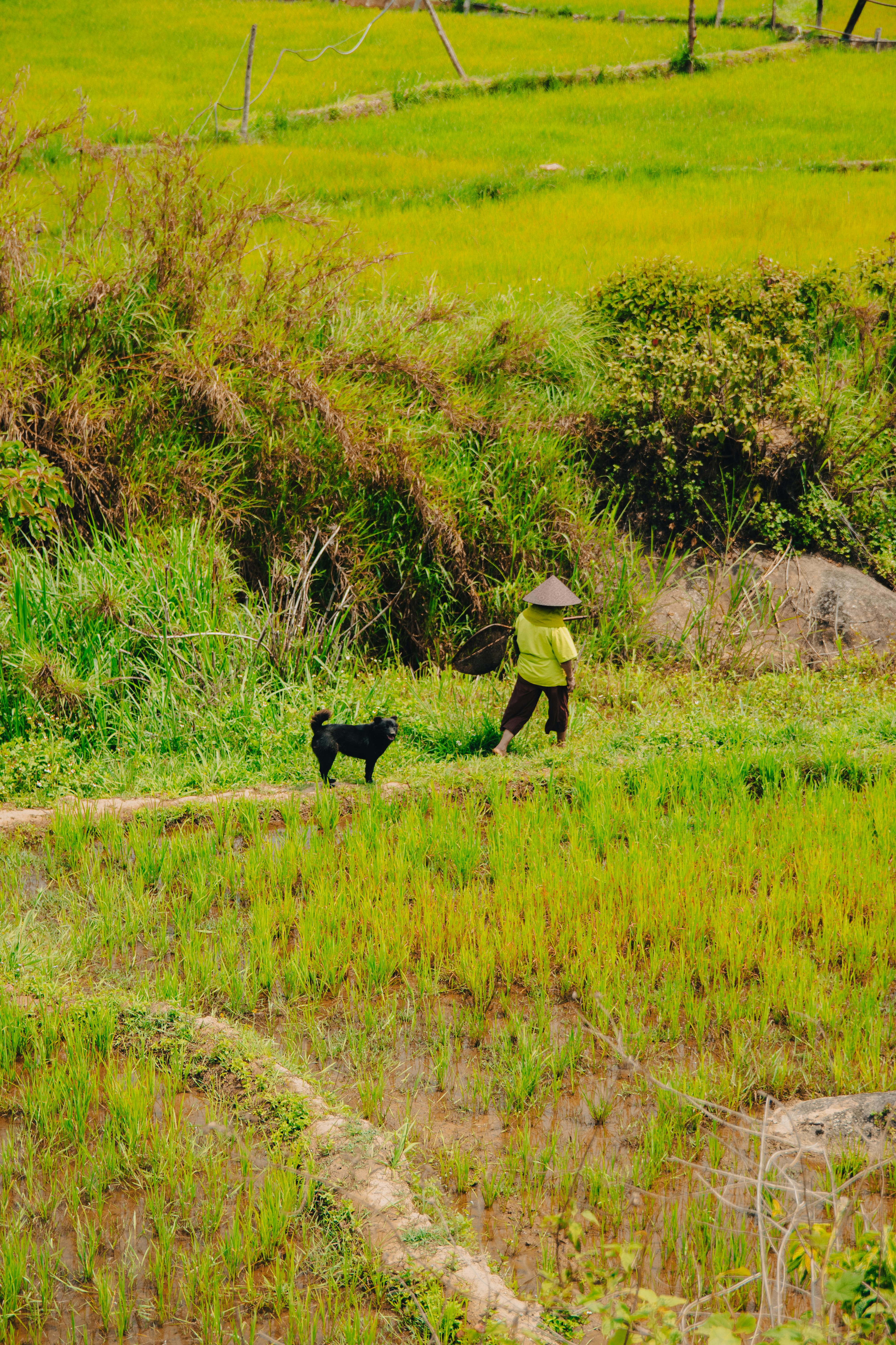 Skyblock+Farming+Contests Photos, Download The BEST Free Skyblock ...