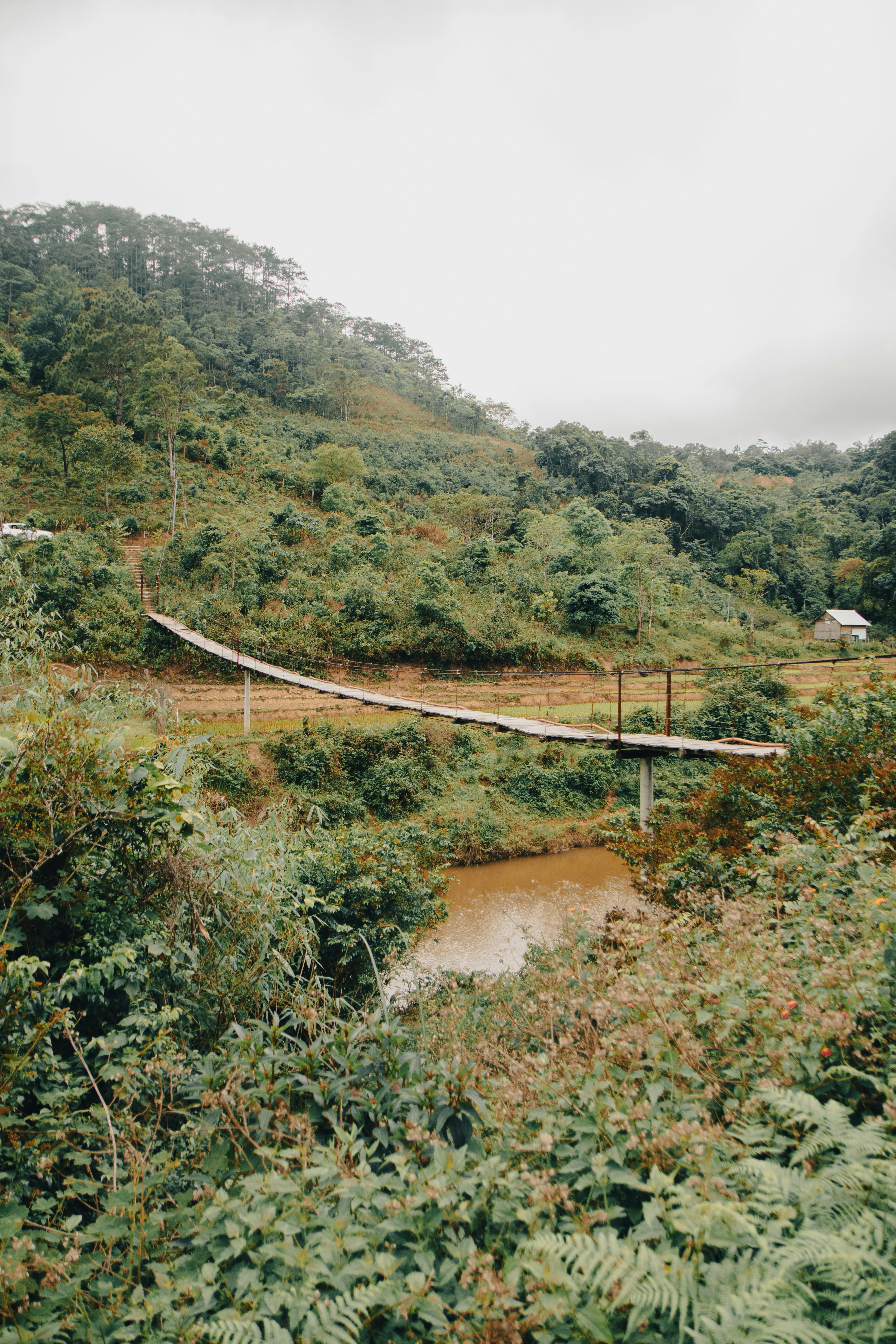 Bokep+Pemerkosaan+Vietnam Photos, Download The BEST Free Bokep+Pemerkosaan+Vietnam Stock Photos ...