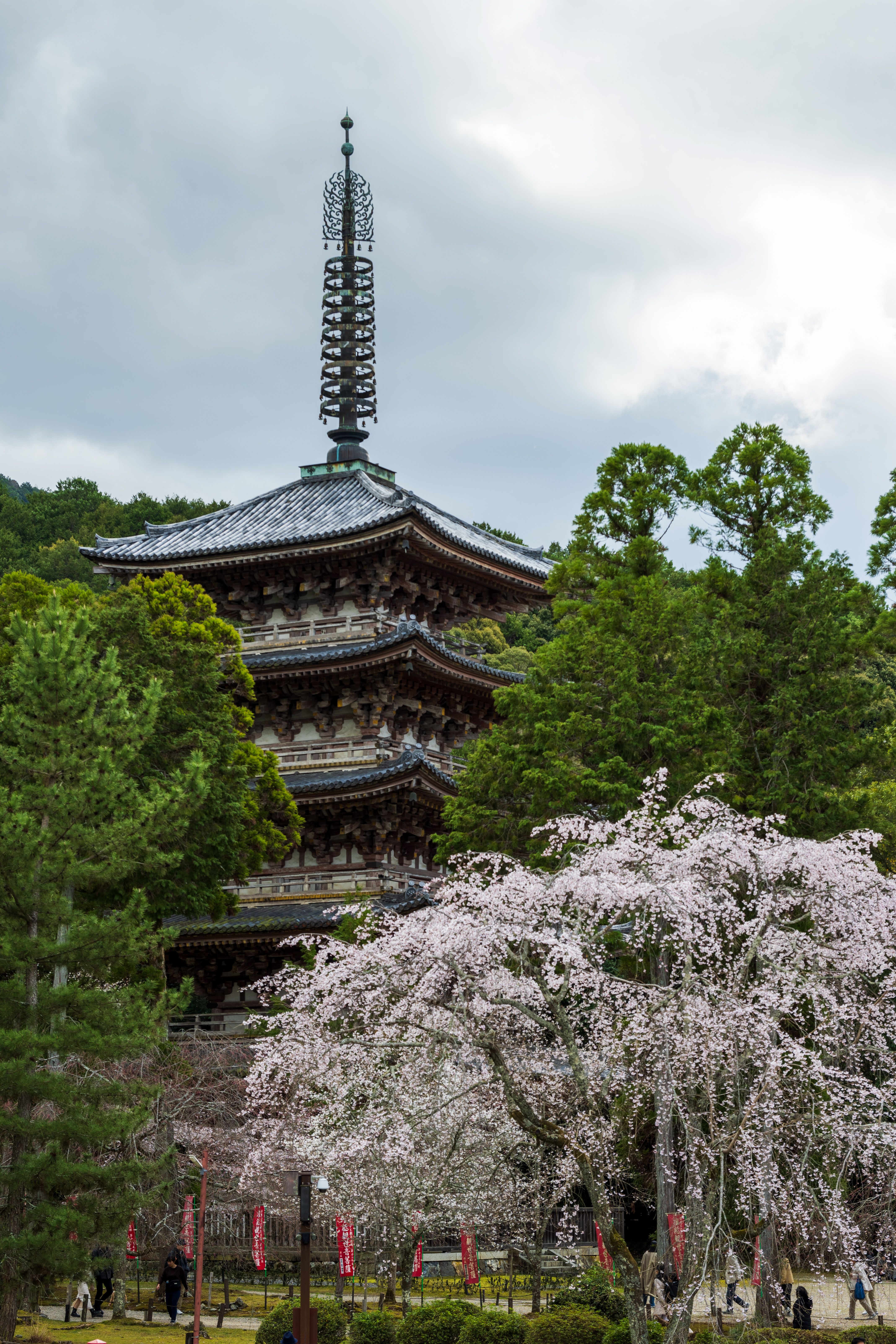 Scenic View of Traditional Japanese Pagoda in Spring · Free Stock Photo