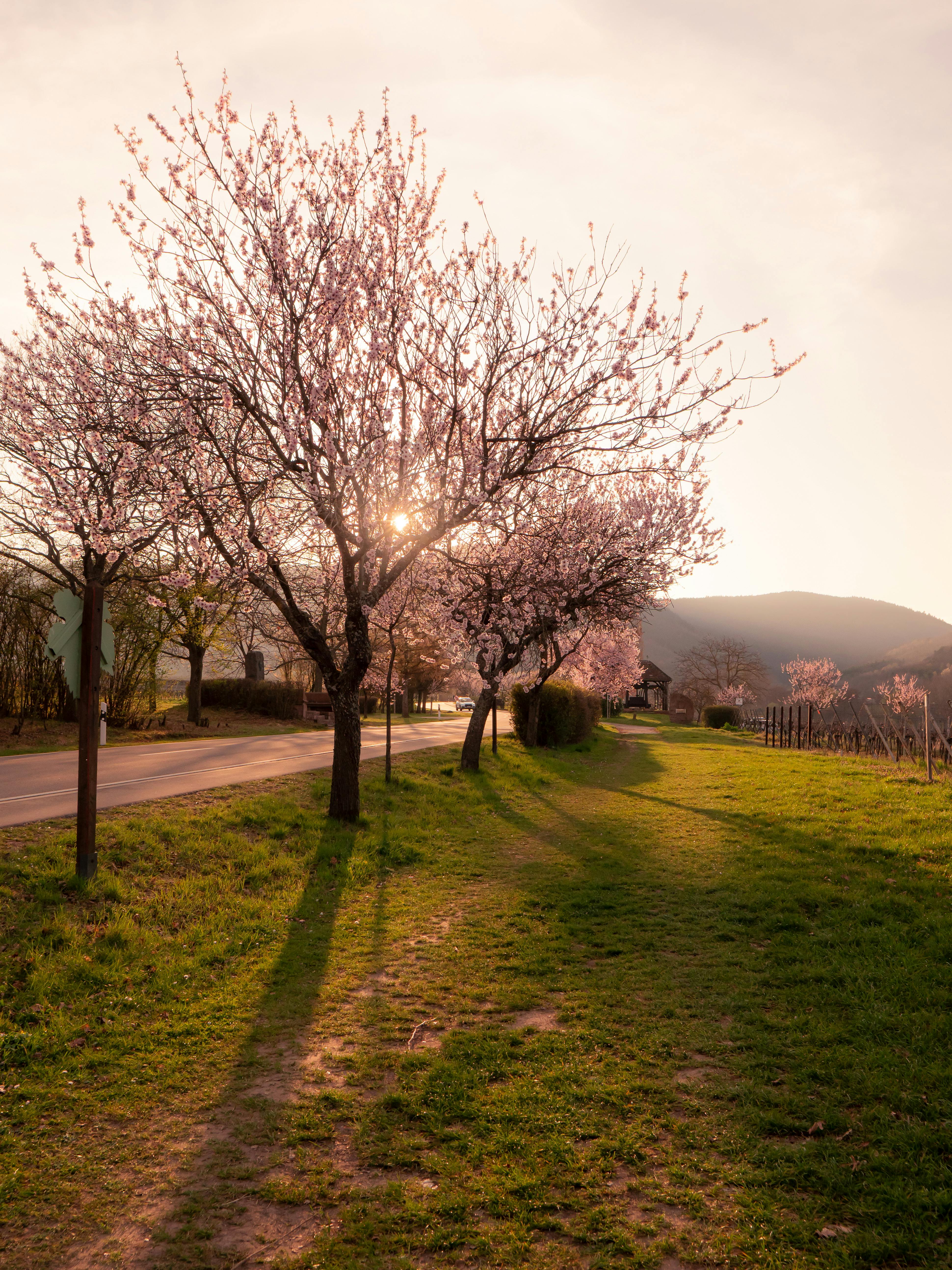 Peakpx+Wallpaper+4k Photos, Download The BEST Free Peakpx+Wallpaper+4k ...