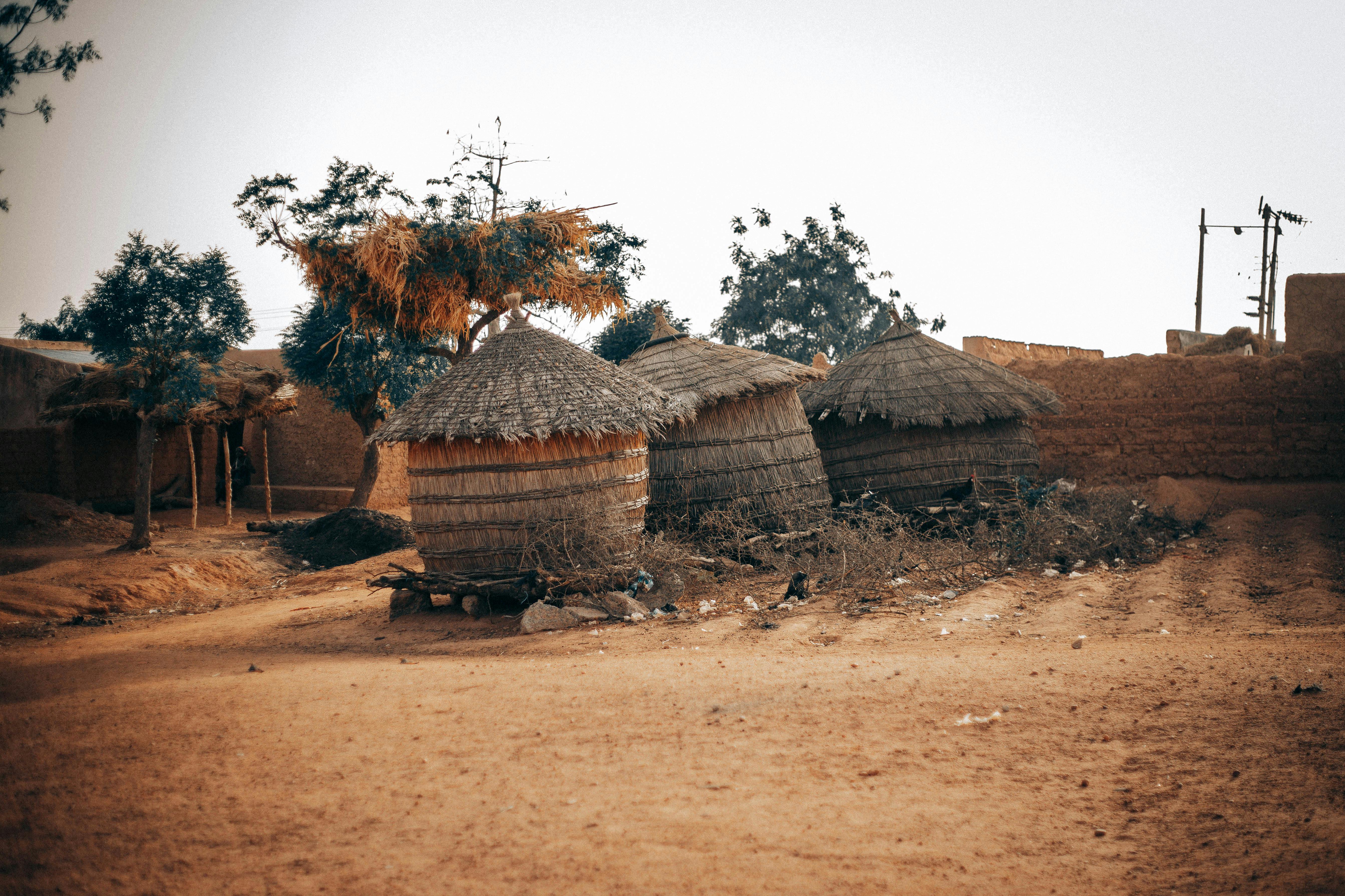 Traditional African Huts in Rural Setting · Free Stock Photo