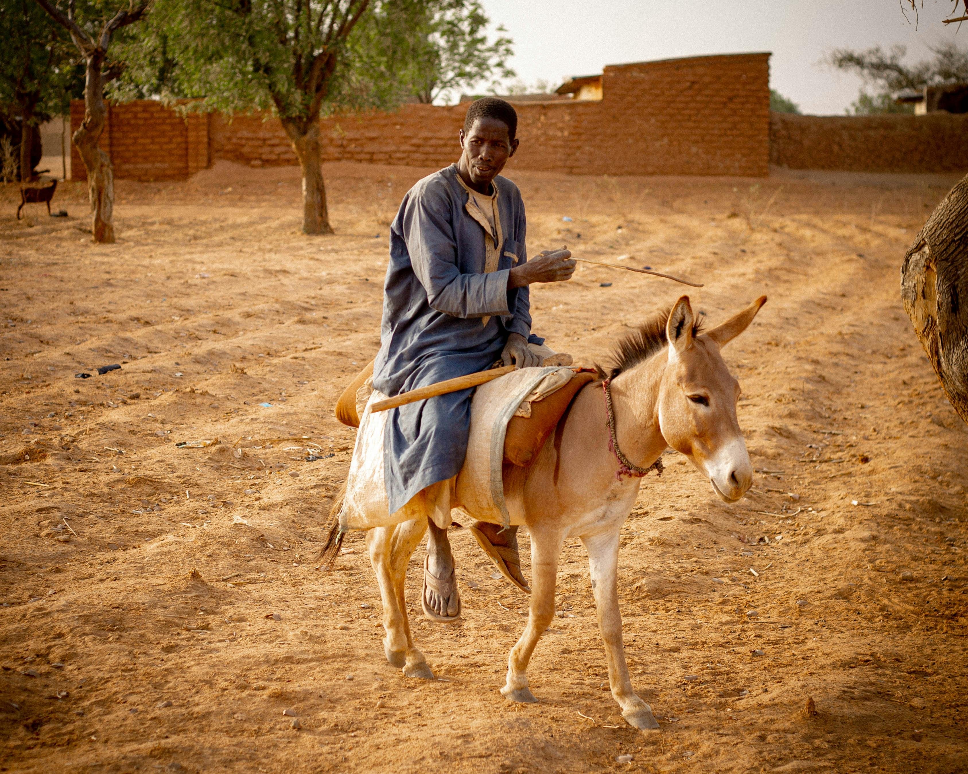 Man Riding Donkey in Arid Village Landscape · Free Stock Photo