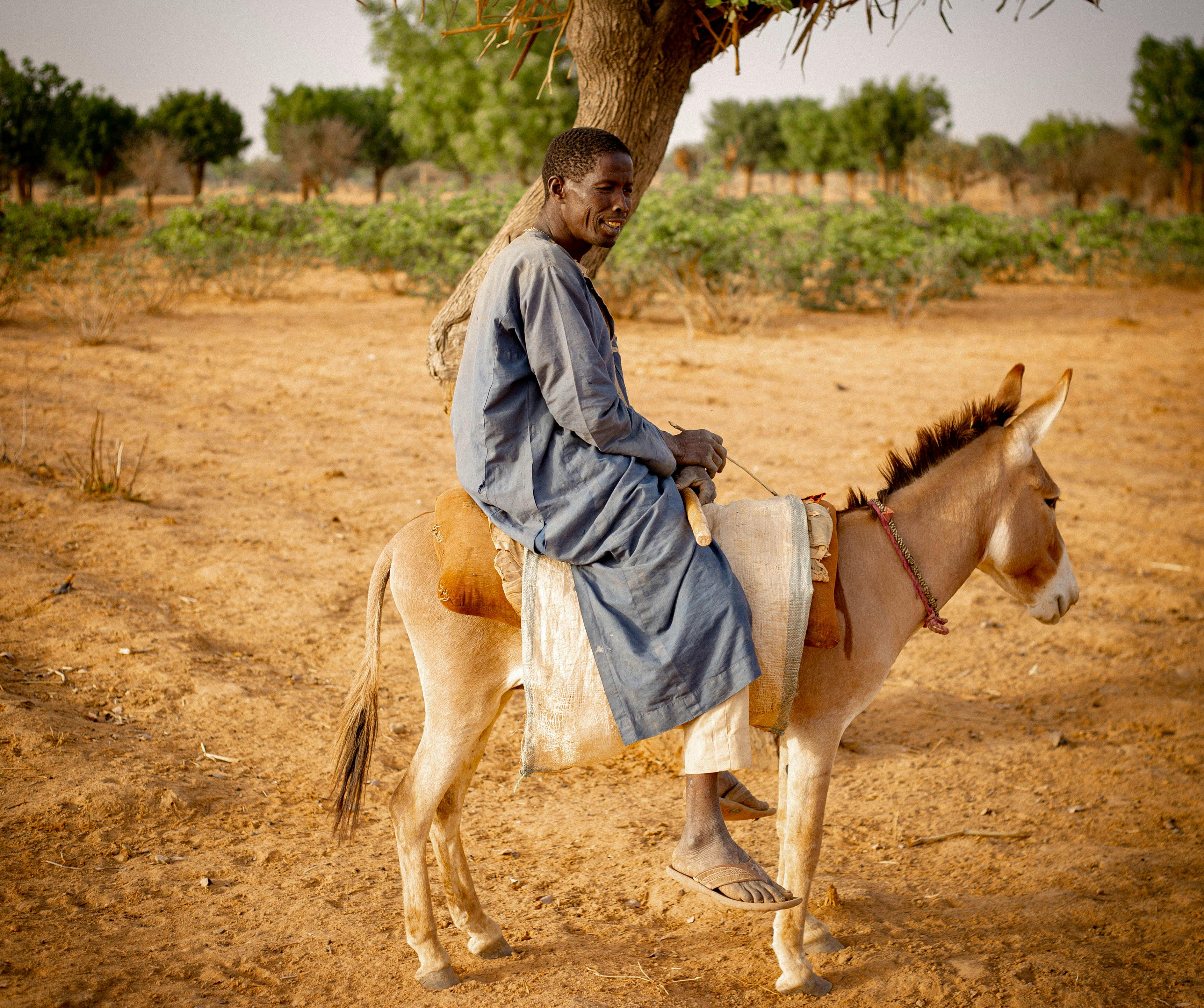 Man Riding Donkey in African Countryside · Free Stock Photo