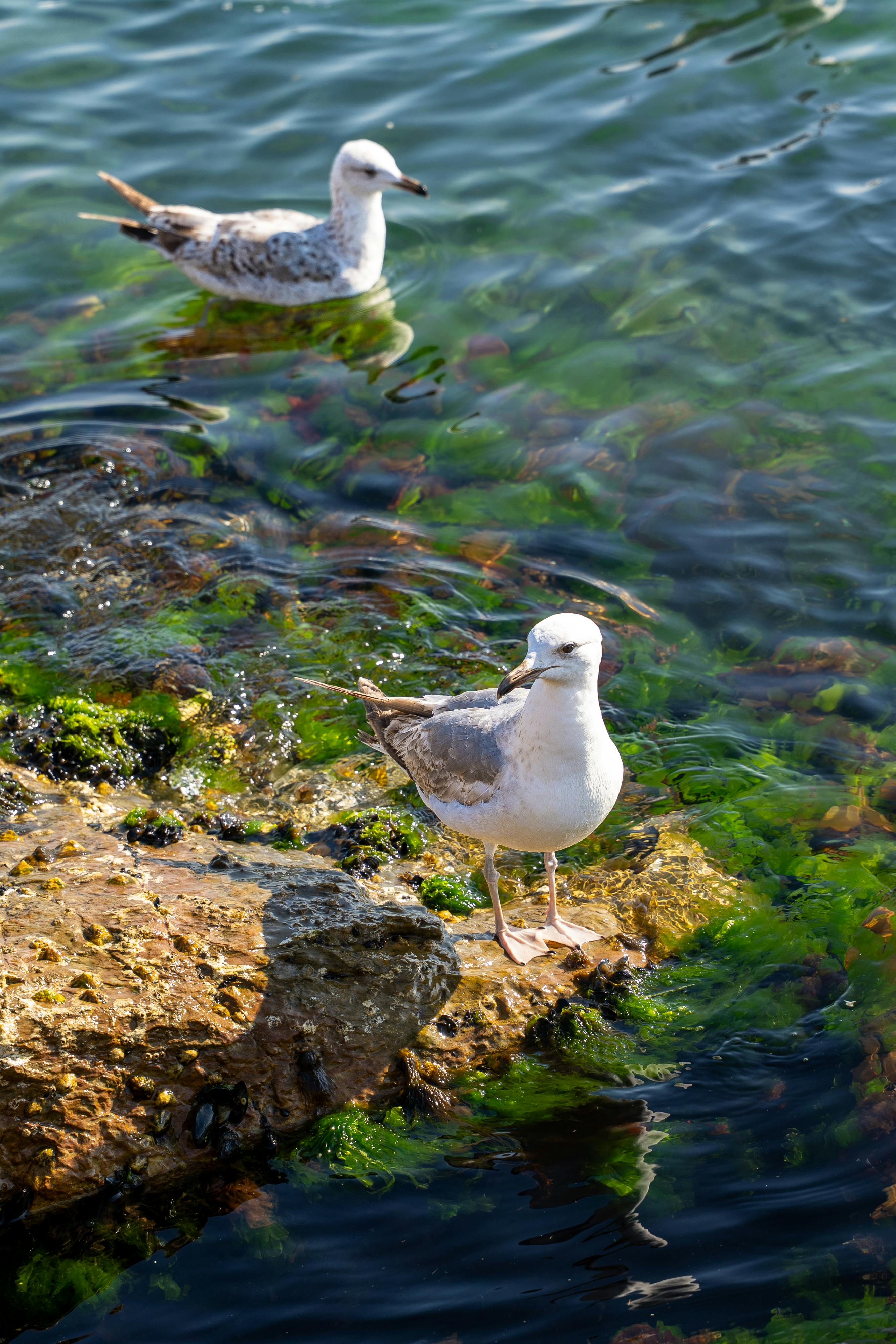 Biodiversity Photos, Download The BEST Free Biodiversity Stock Photos ...