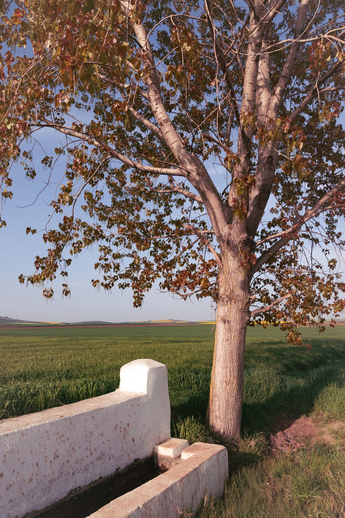 Country Life Photos, Download The BEST Free Country Life Stock Photos ...