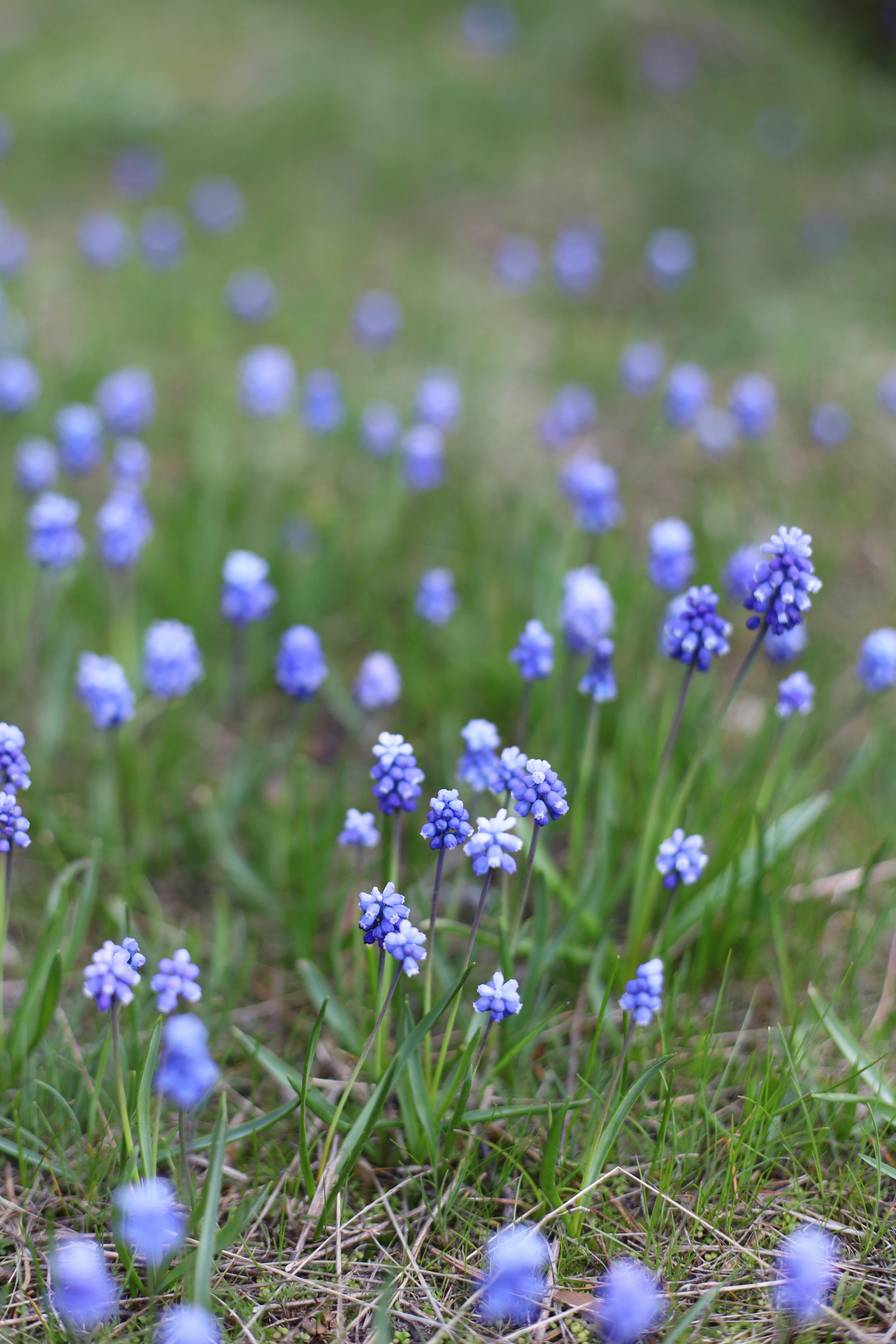 Smd Bulb Photos, Download The BEST Free Smd Bulb Stock Photos & HD Images