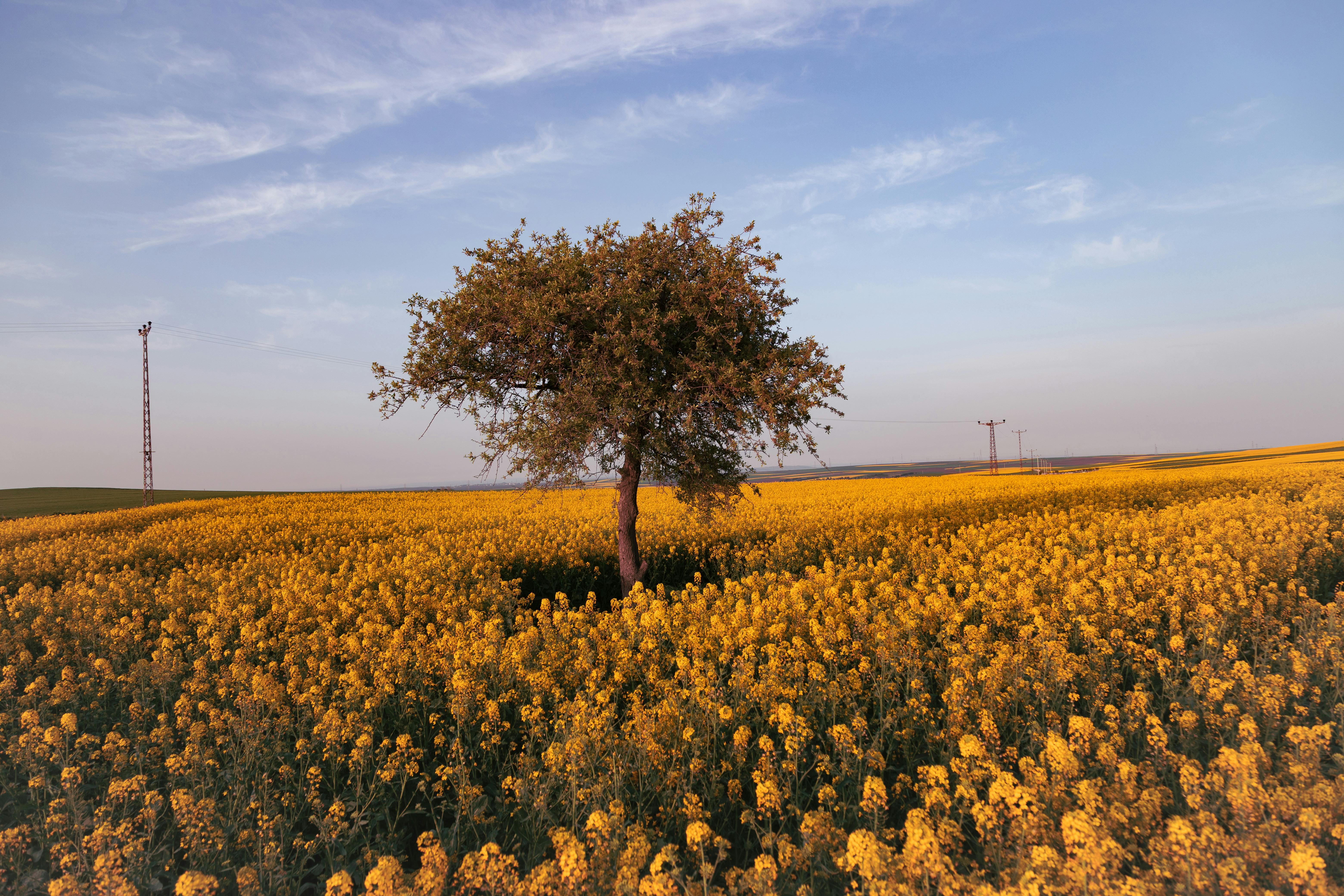 Alpha Beta Photos, Download The BEST Free Alpha Beta Stock Photos & HD ...