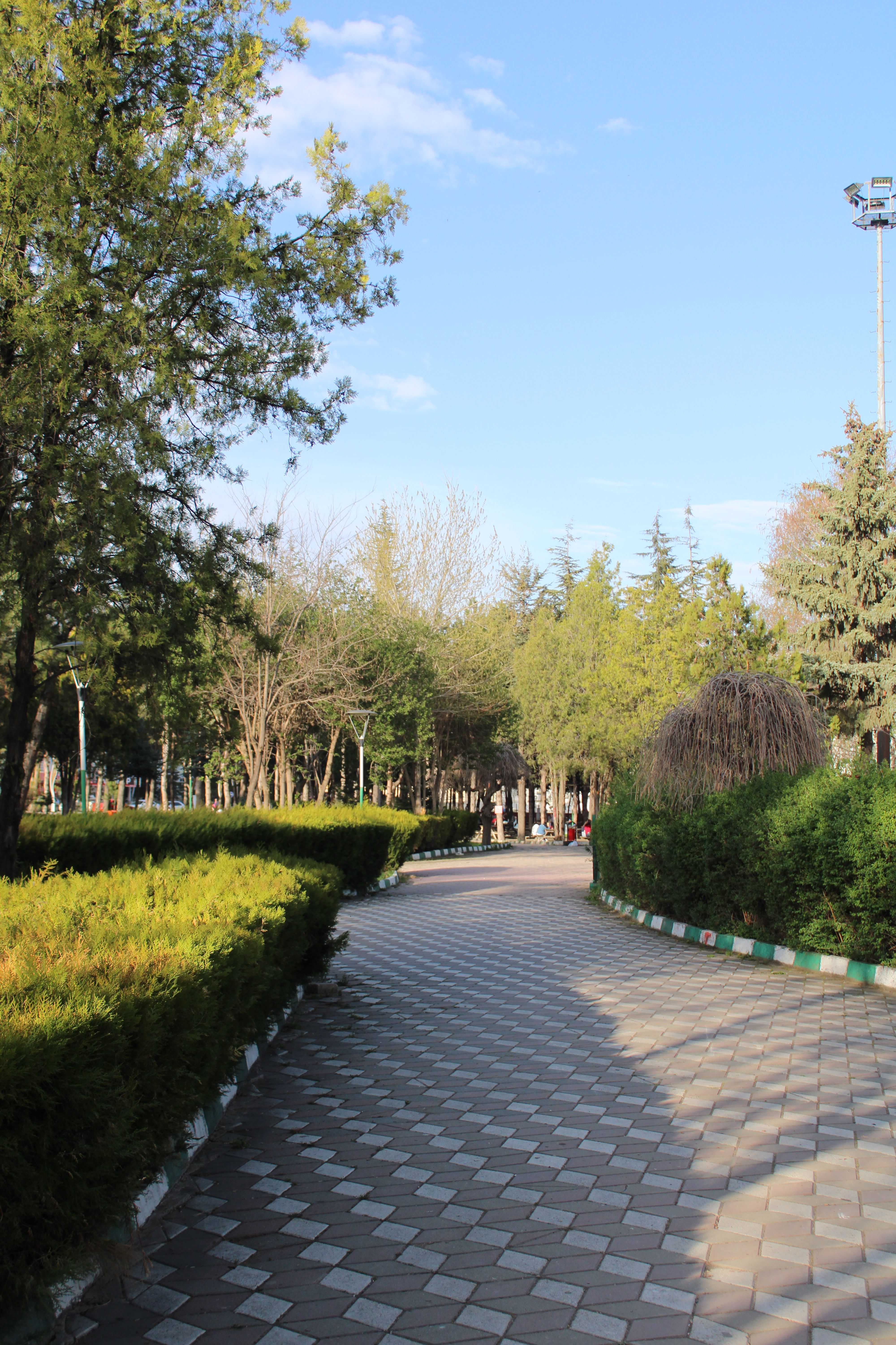 Scenic Park Pathway in the Daytime · Free Stock Photo