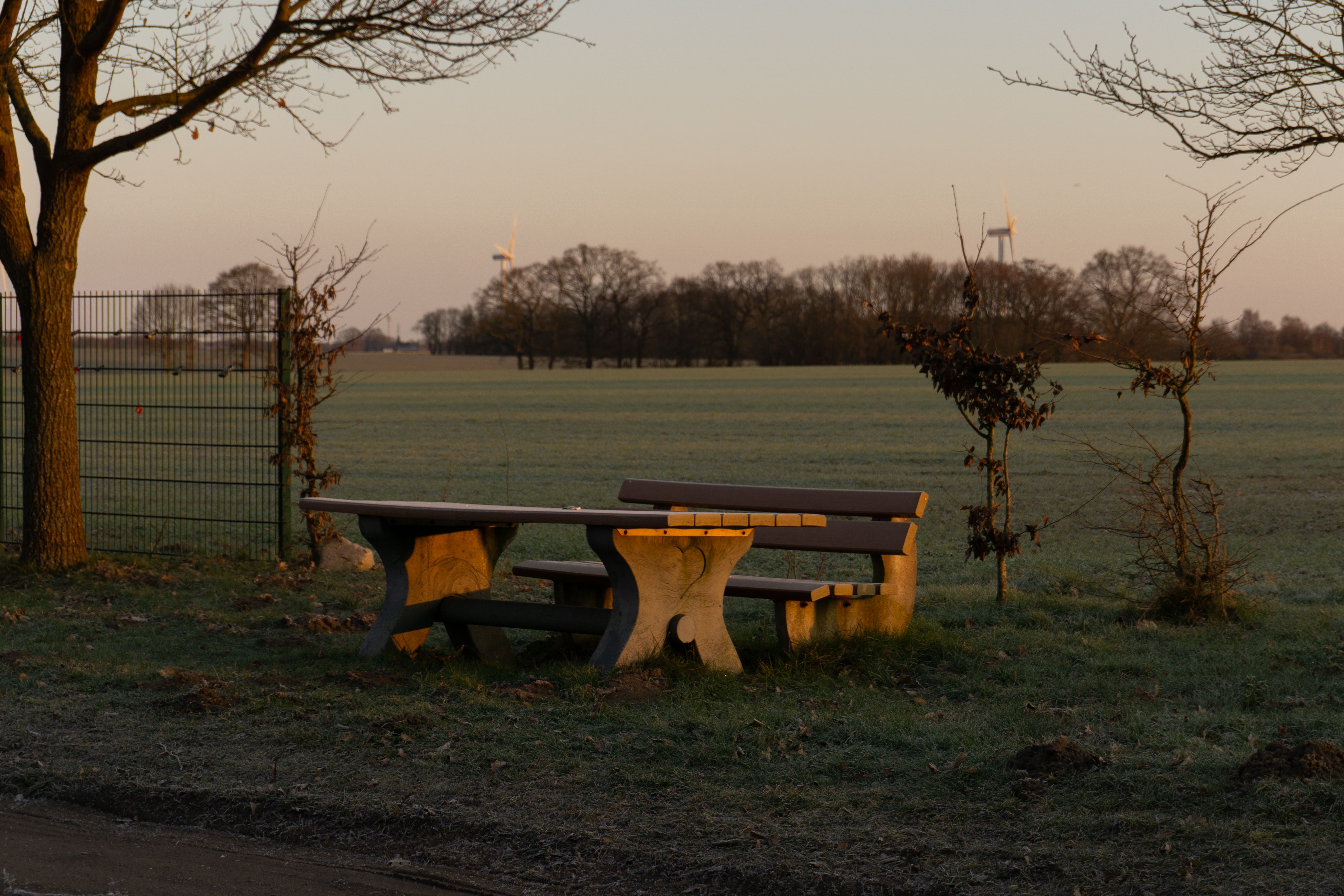 Serene Rural Bench View in Achim, Germany · Free Stock Photo