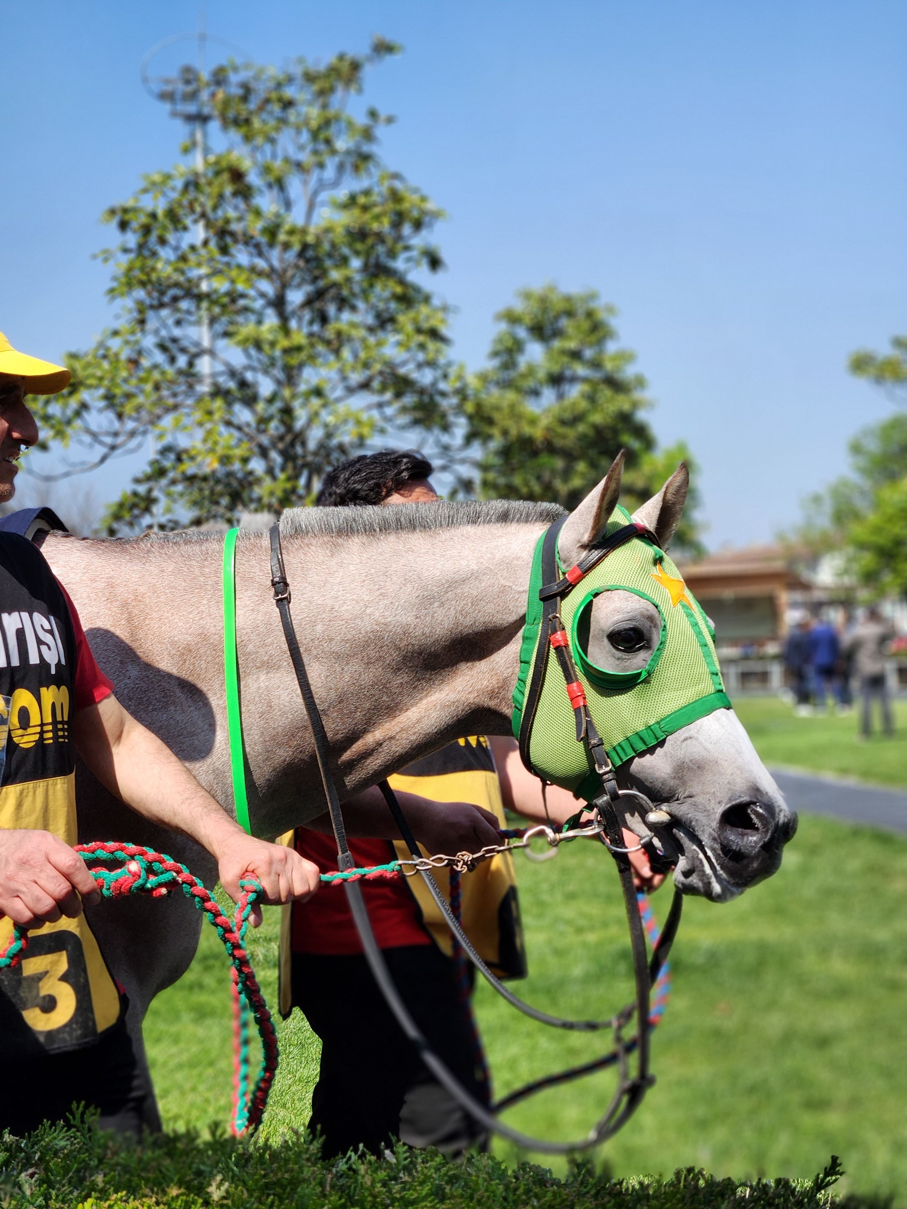 Jockey Leading Thoroughbred Horse to Race · Free Stock Photo