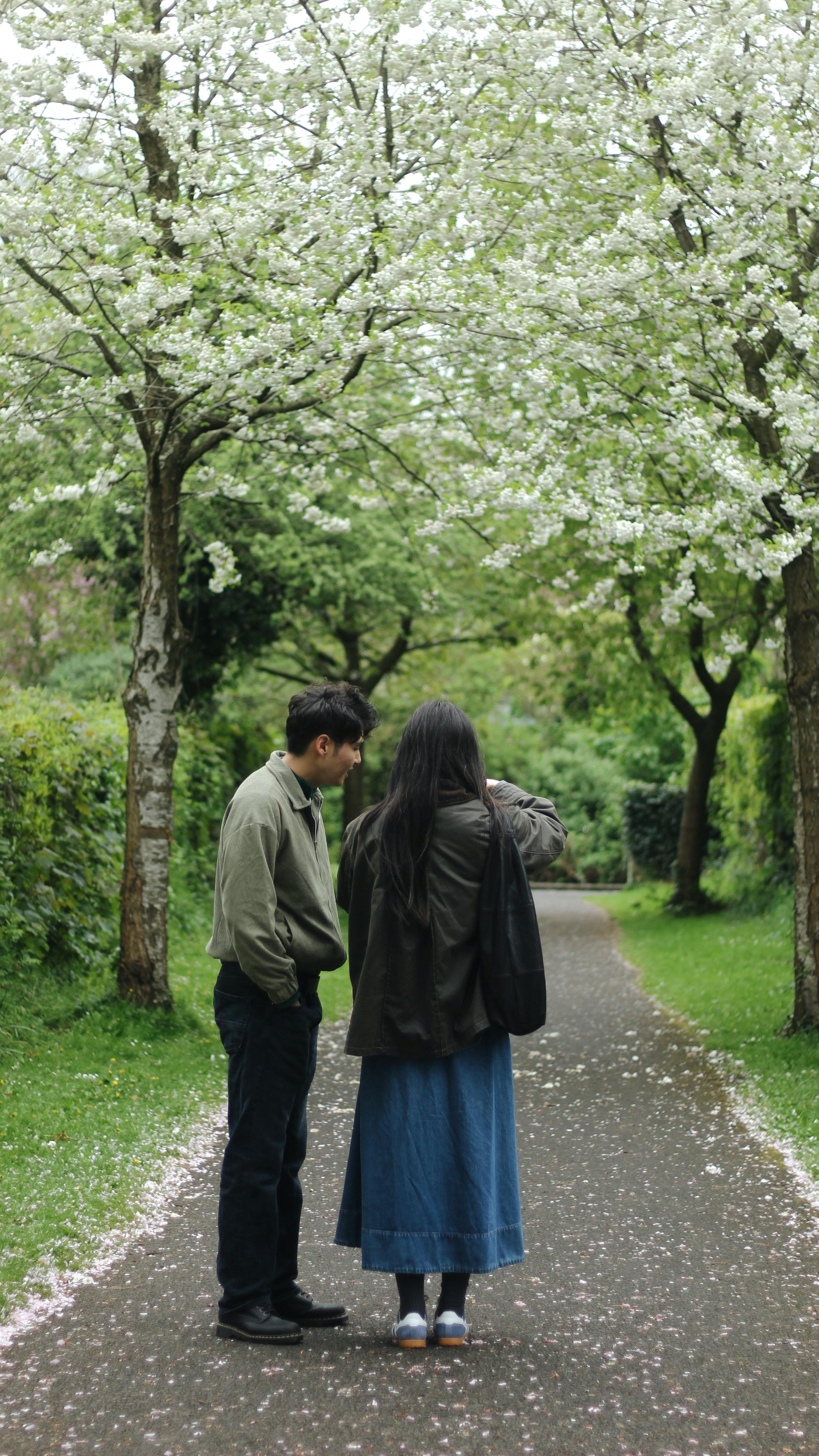 Couple Walking in a Spring Park Under Blossoming Trees · Free Stock Photo