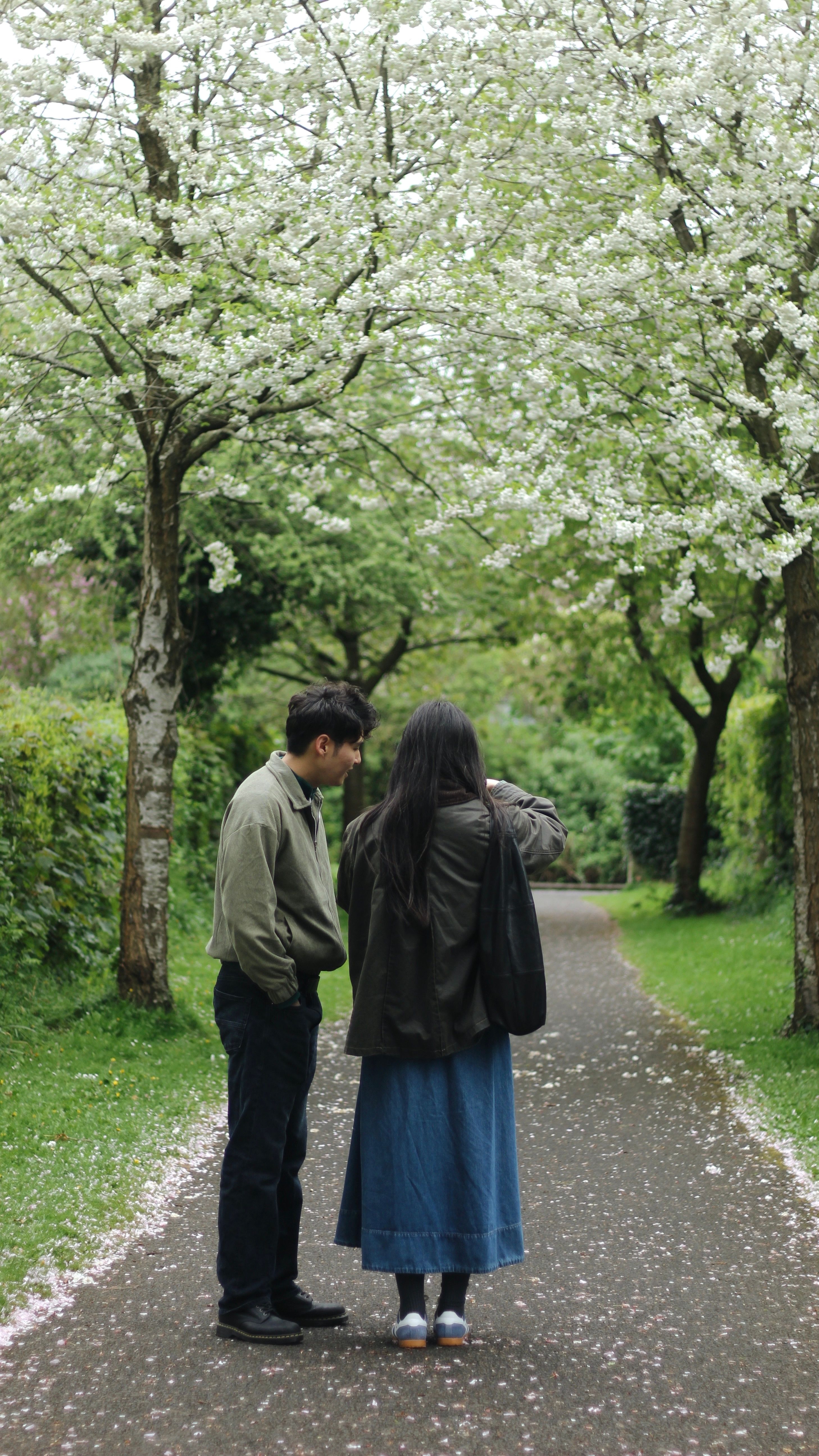 Couple Walking in a Spring Park Under Blossoming Trees · Free Stock Photo