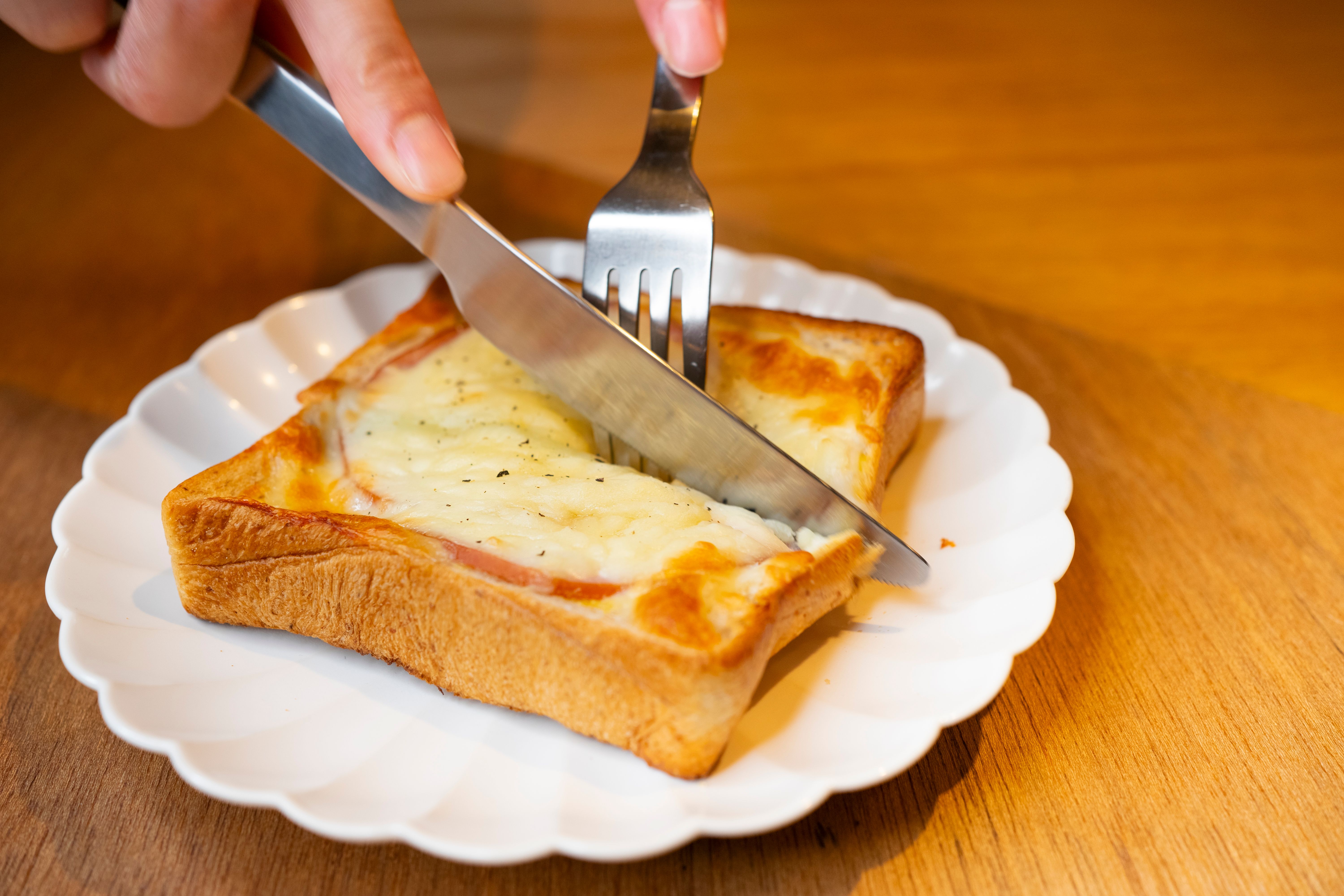 Japanese Grilled Cheese Toastie on Plate · Free Stock Photo