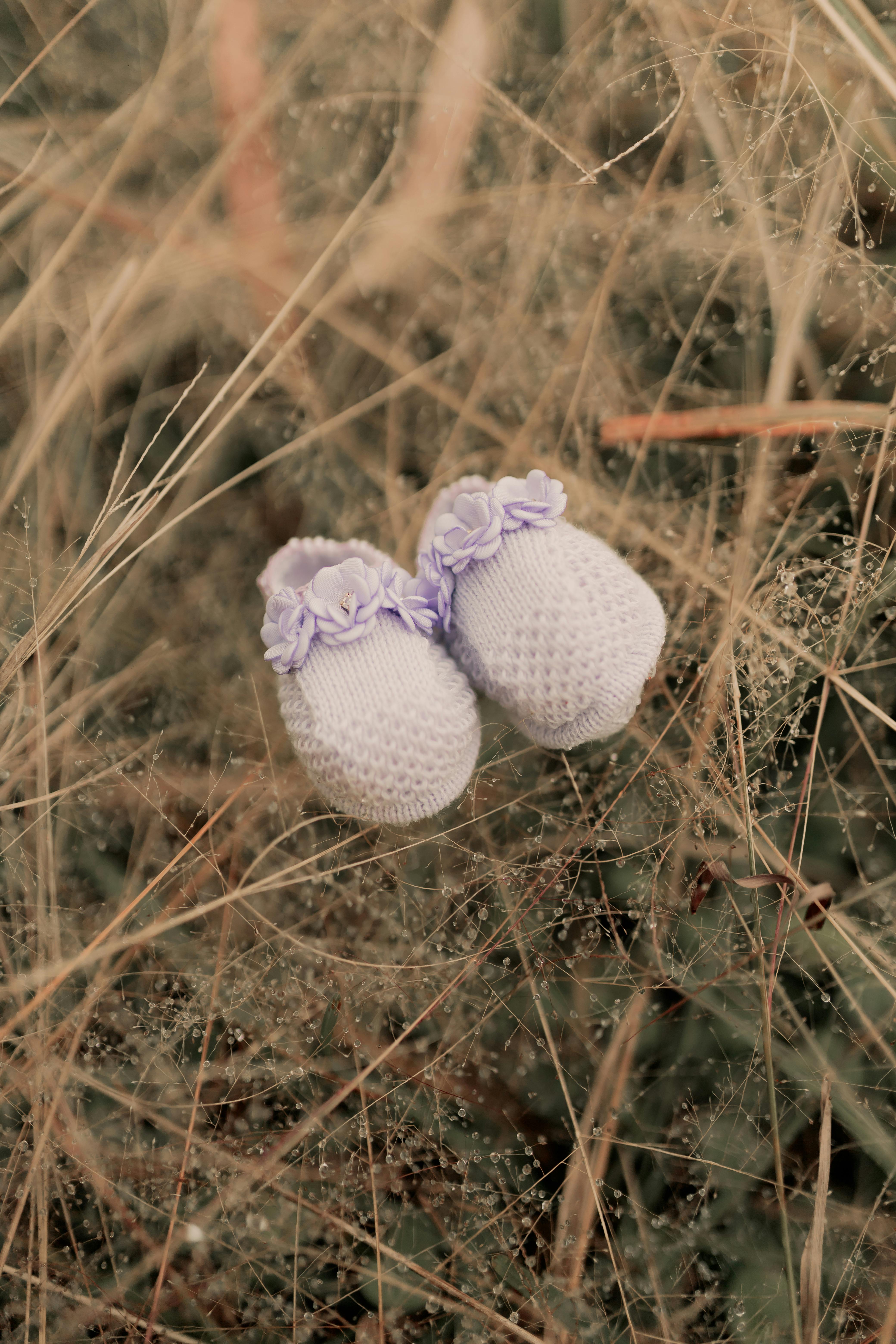 Adorable Baby Booties on Nature Background · Free Stock Photo