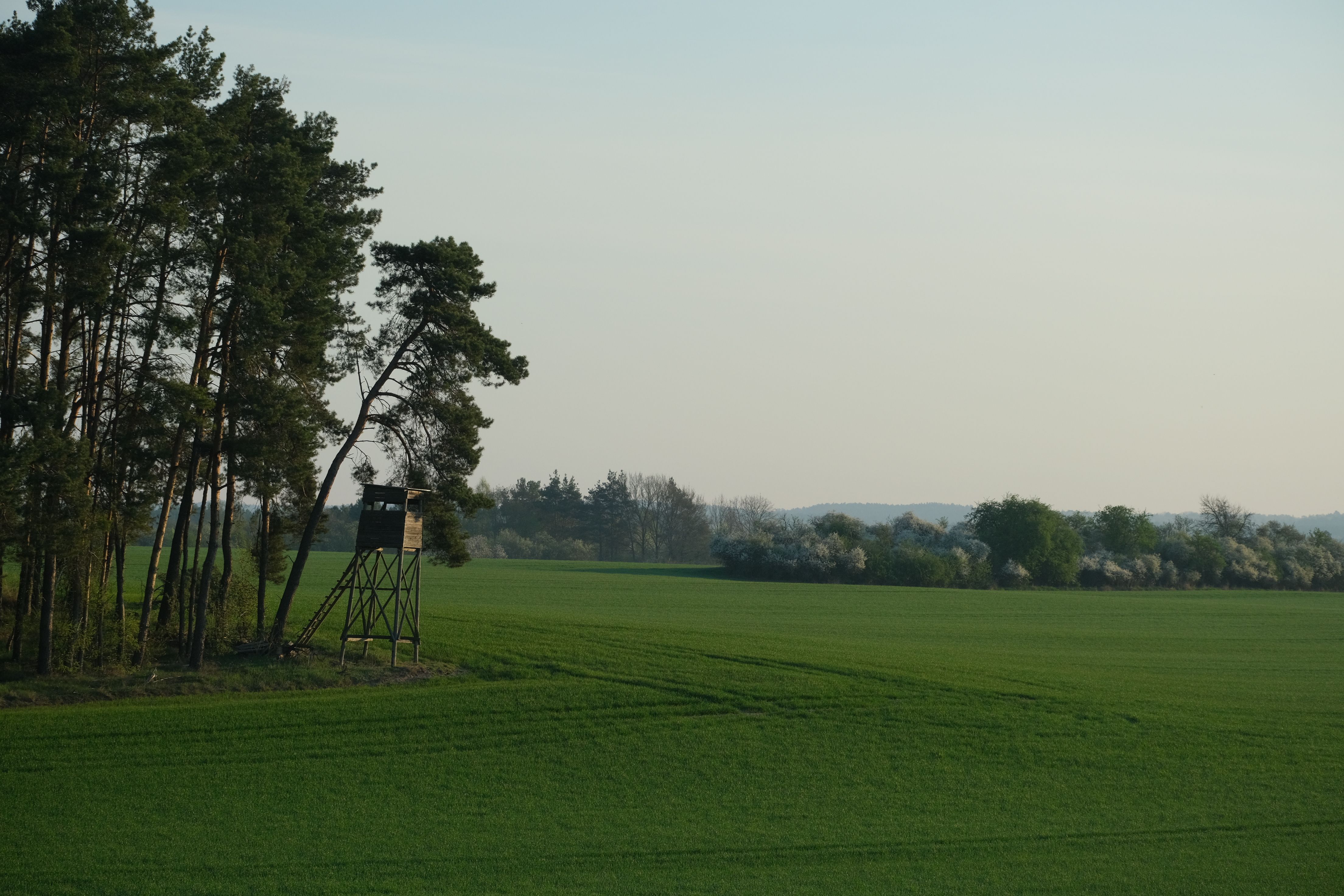 Serene Open Field with Elevated Hunting Stand · Free Stock Photo