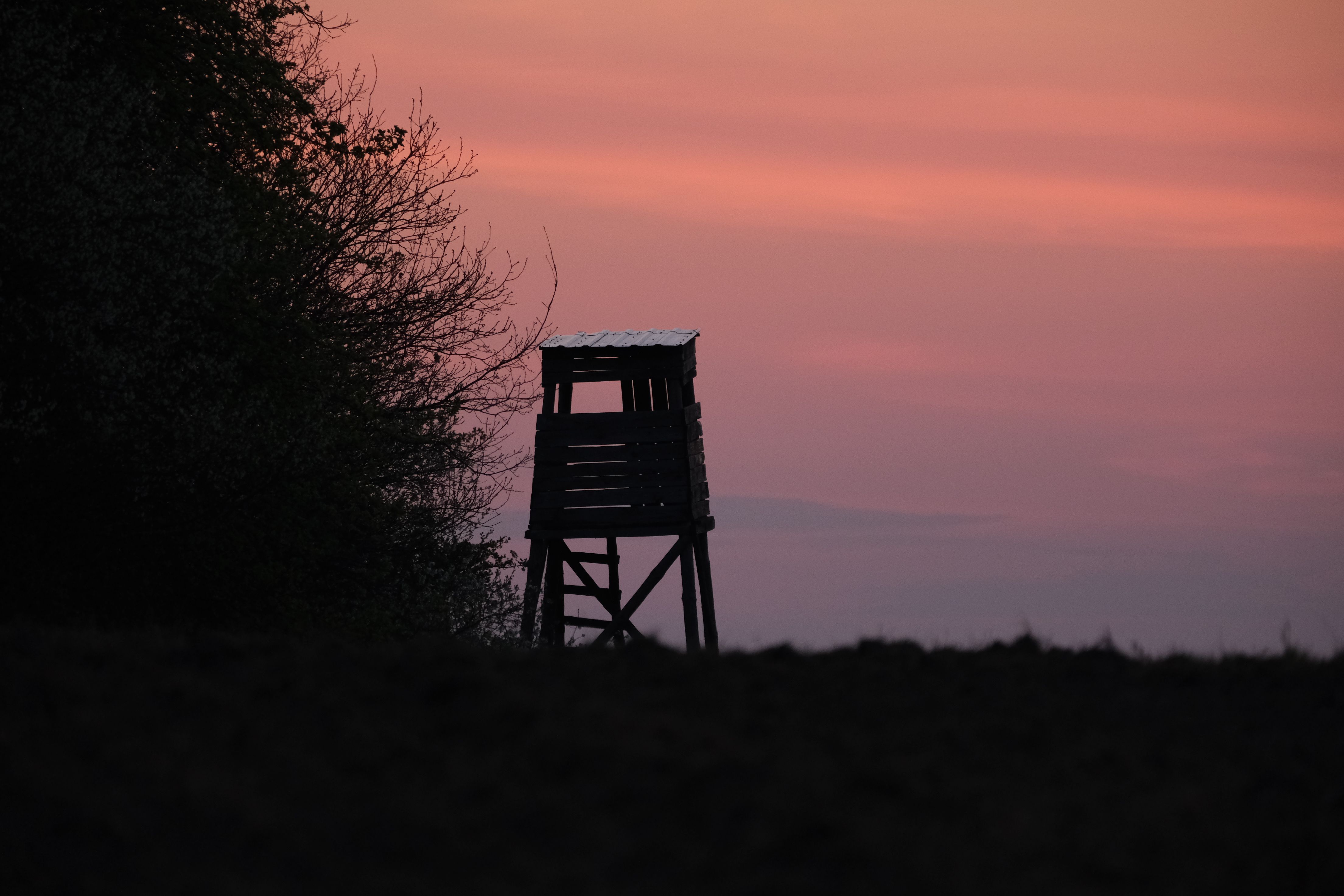 Silhouette of Watchtower at Sunset with Pink Sky · Free Stock Photo