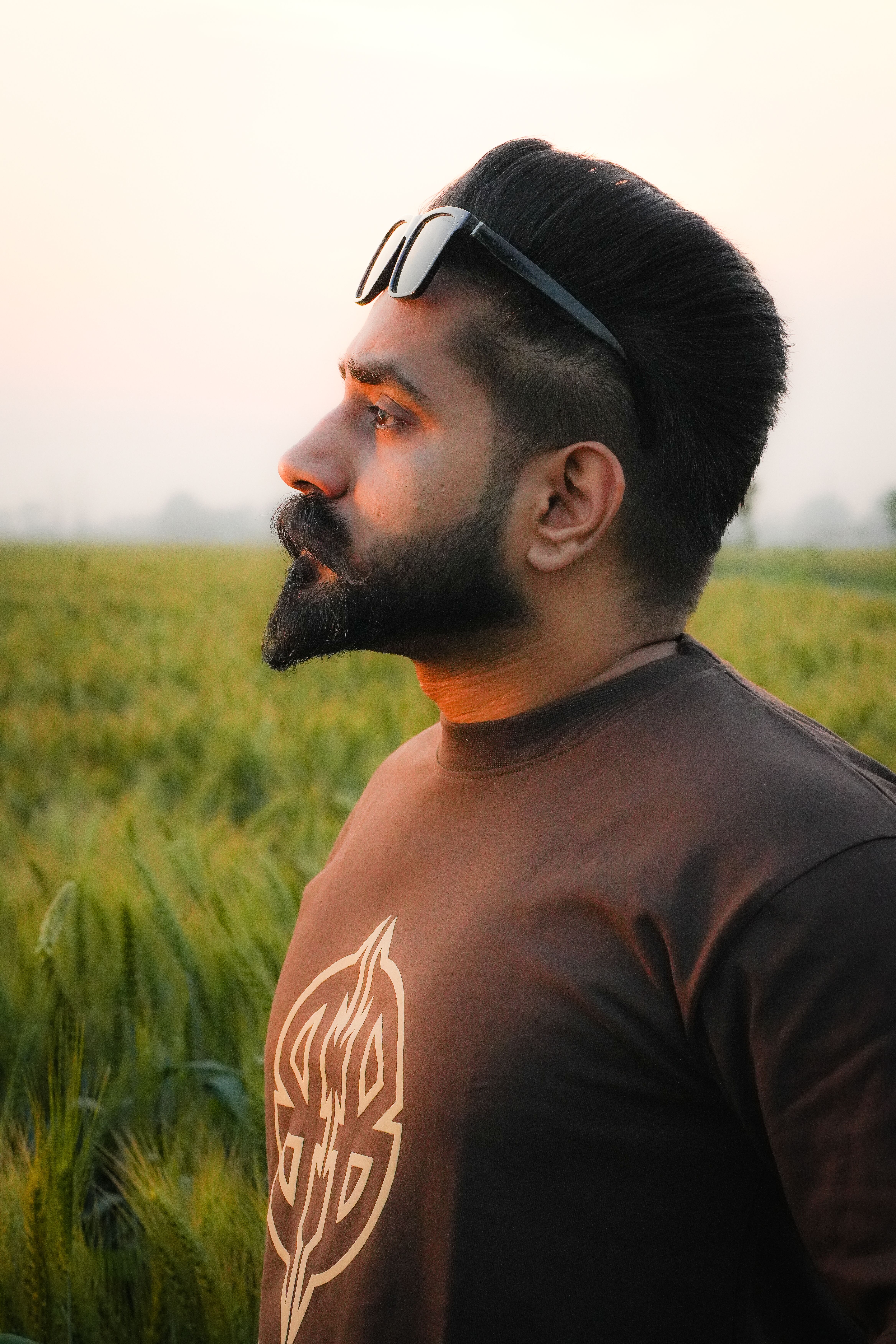 Man in Sunset Light Overlooking Wheat Field · Free Stock Photo