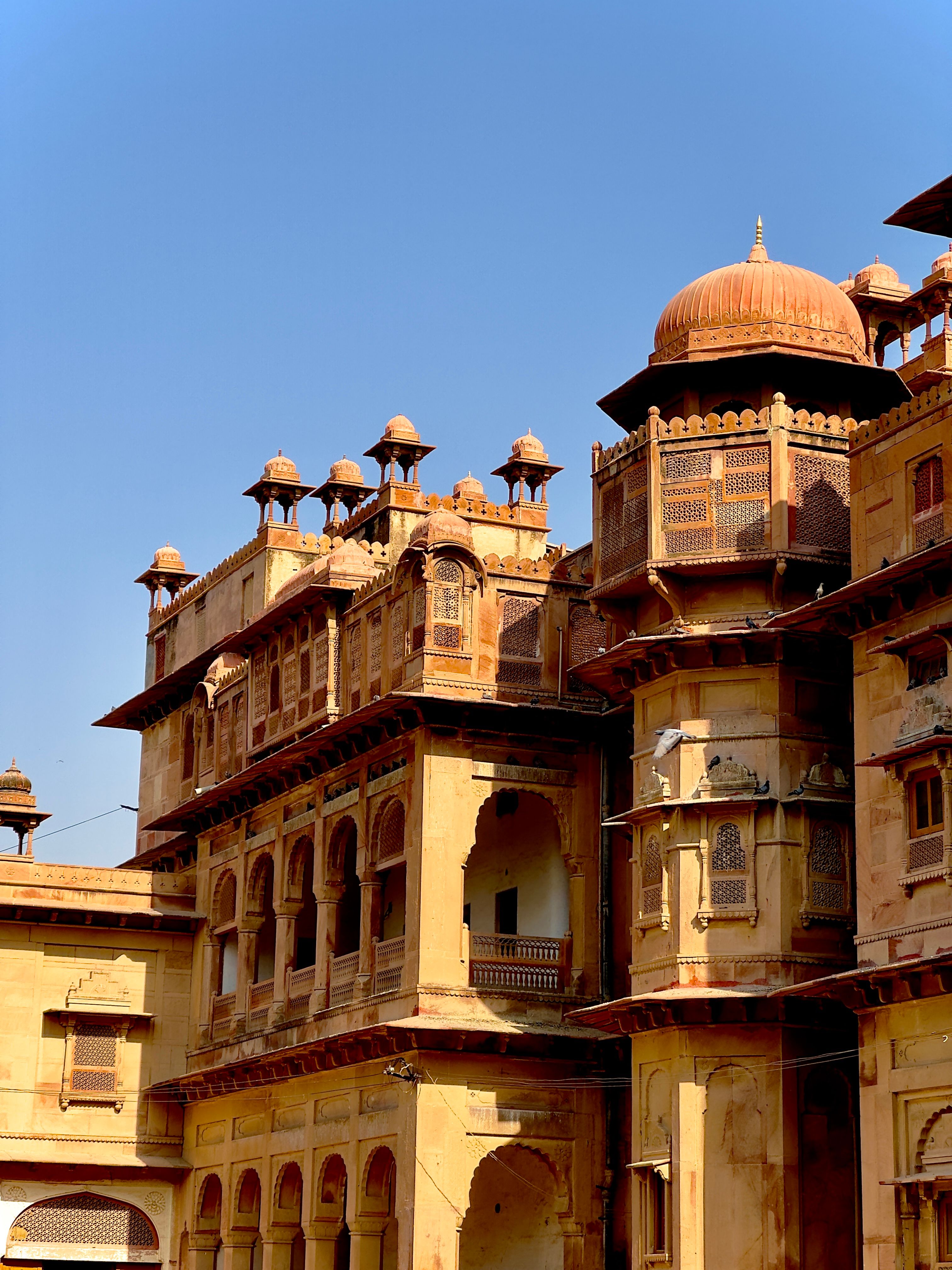 Stunning Architectural Detail of Junagarh Fort · Free Stock Photo