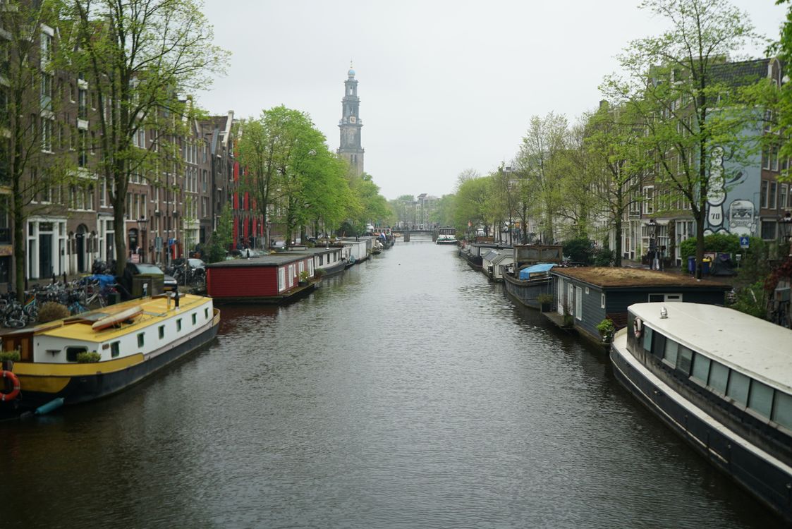 Morning view of an Amsterdam canal with houseboats and historic architecture