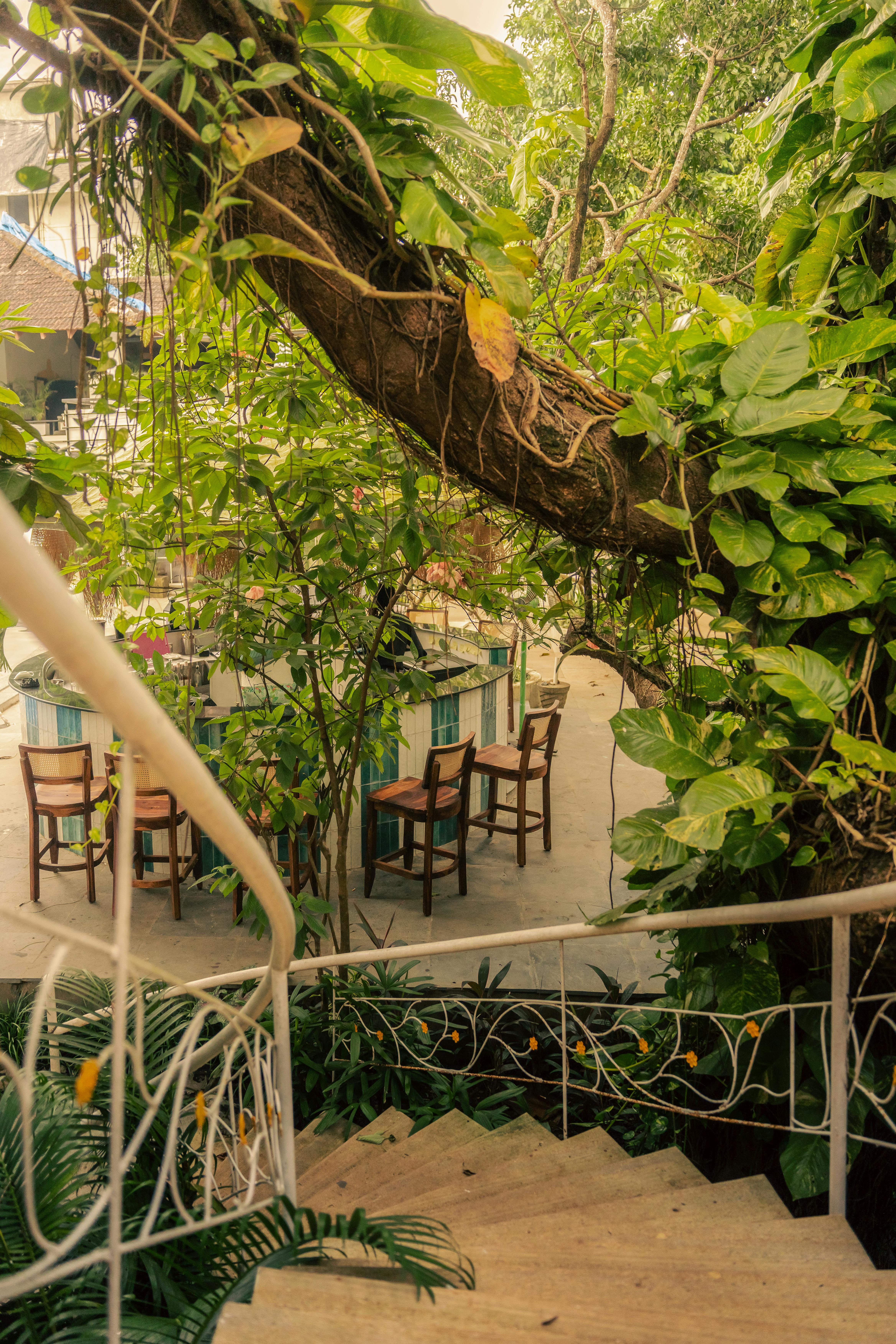 Charming Outdoor Cafe in Lush Anjuna, Goa · Free Stock Photo