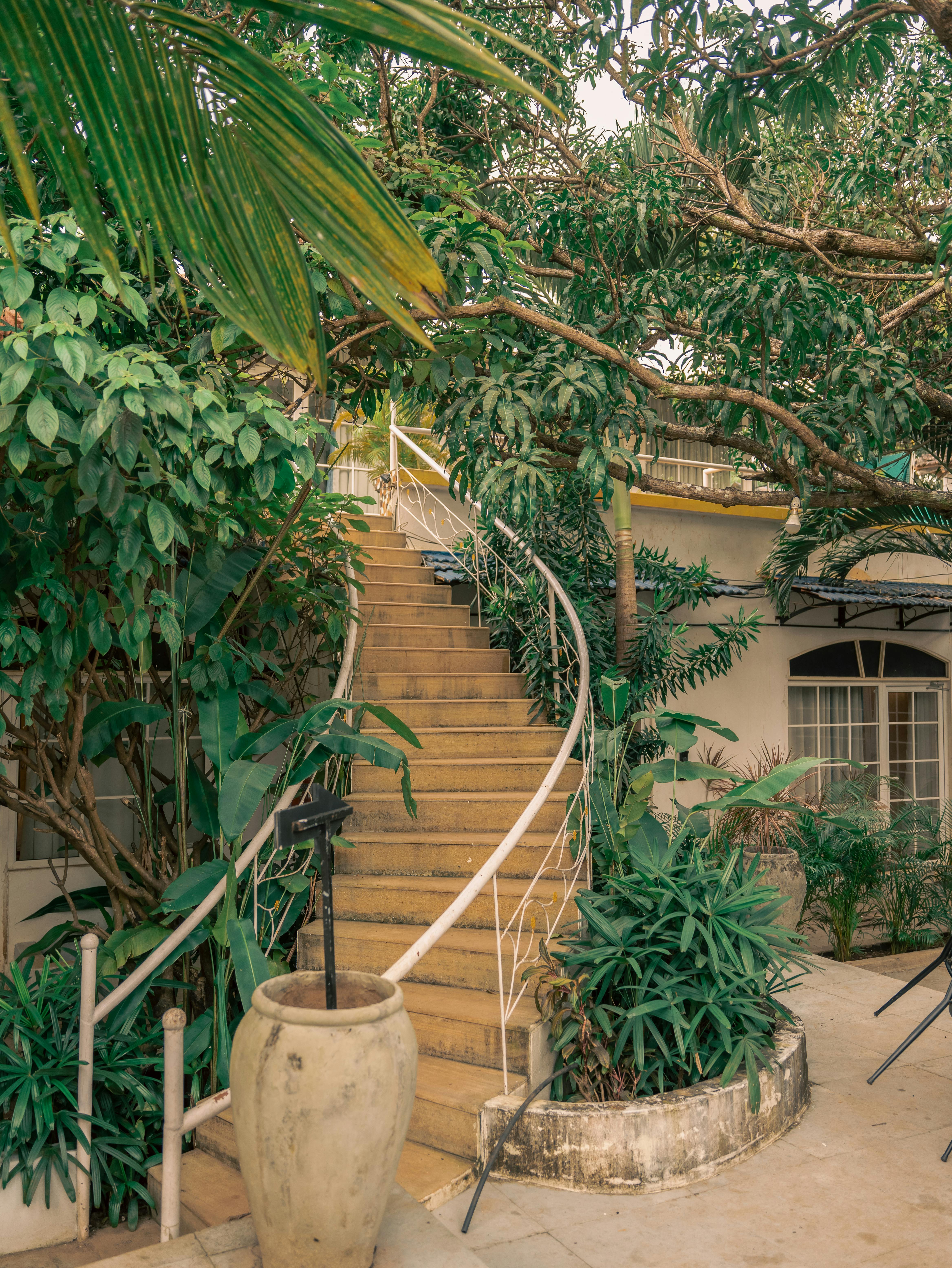 Charming Outdoor Staircase with Lush Foliage in Goa · Free Stock Photo
