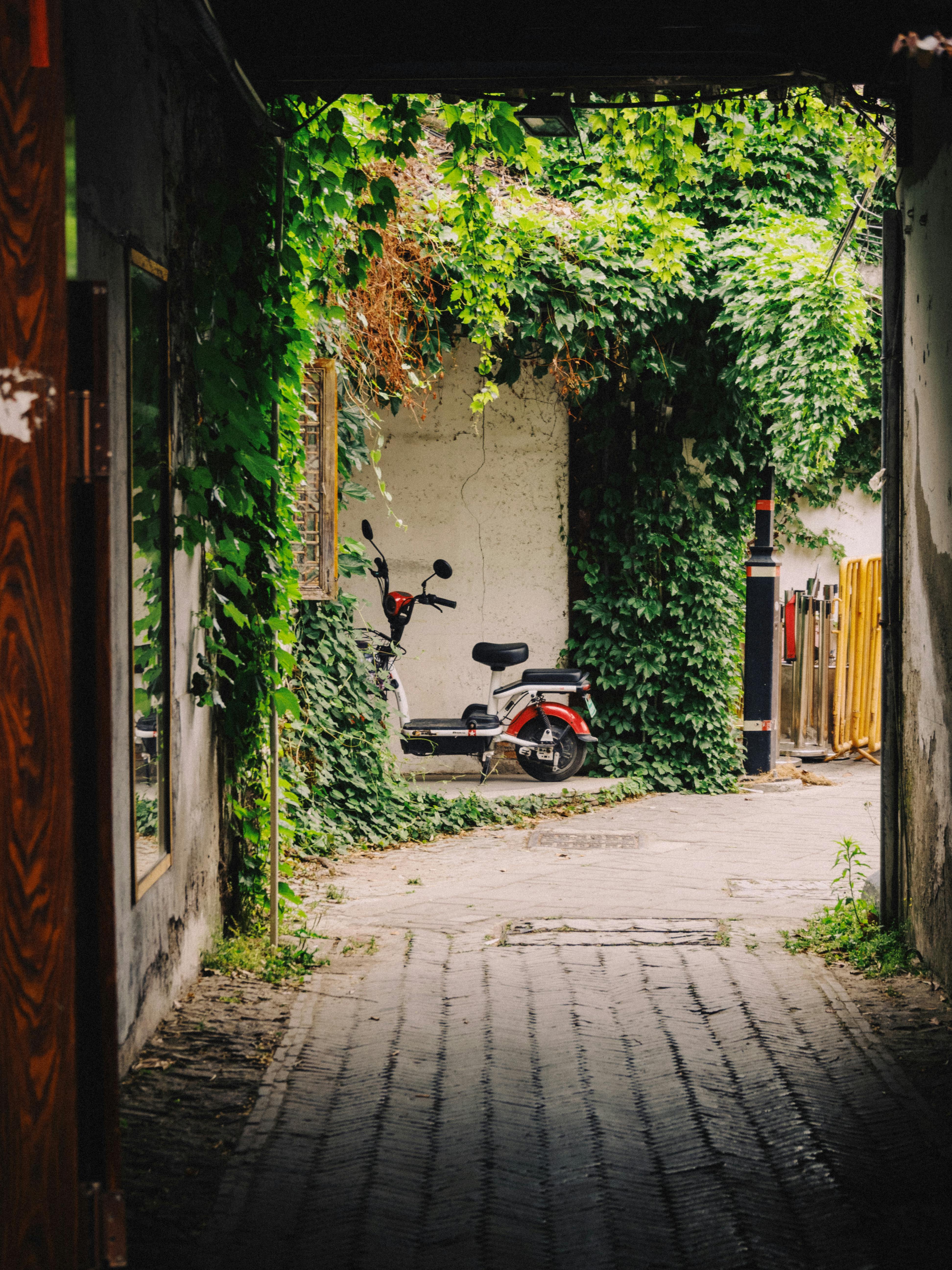 Gigs Path Photos, Download The BEST Free Gigs Path Stock Photos & HD Images