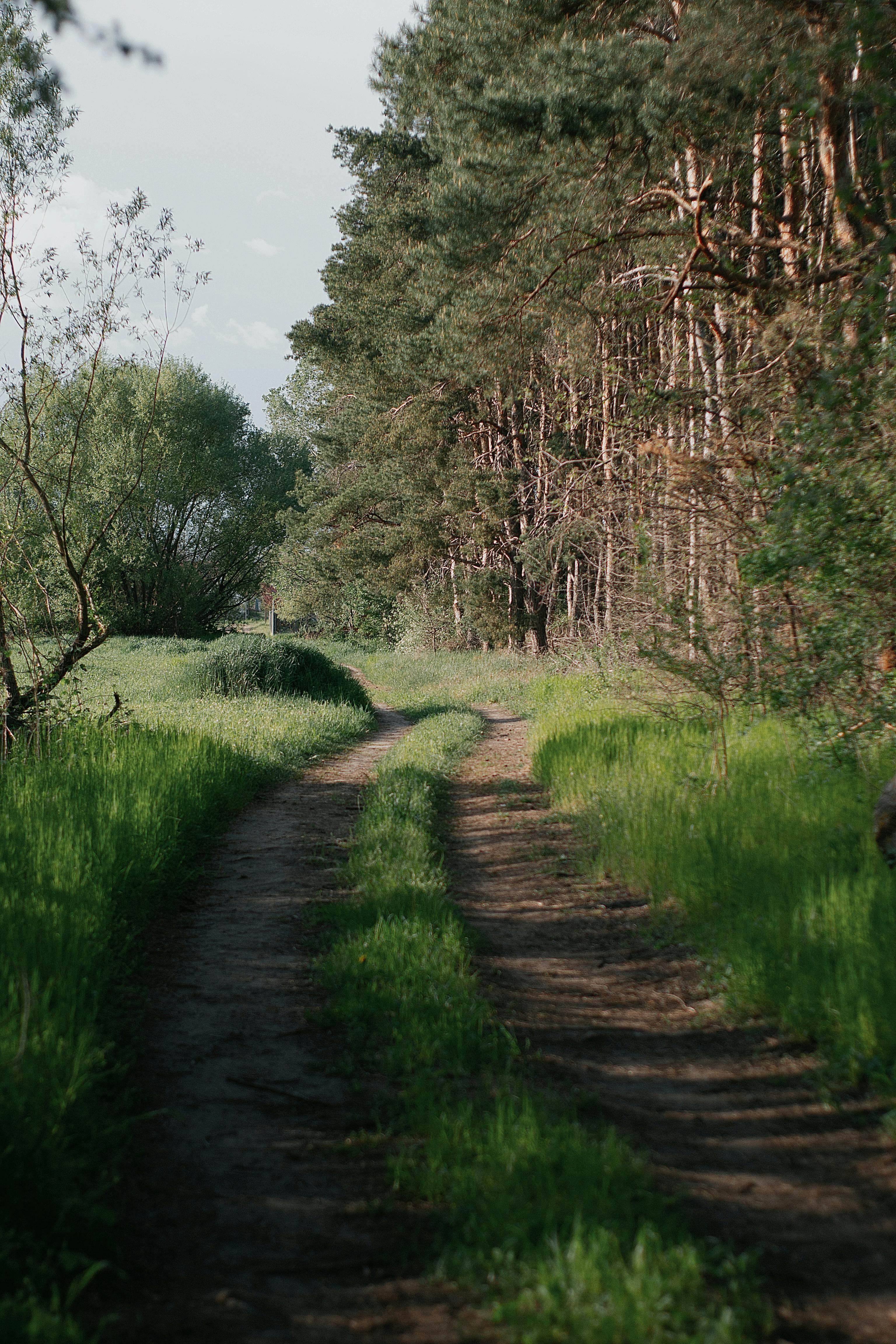 Android Background Photos, Download The BEST Free Android Background ...