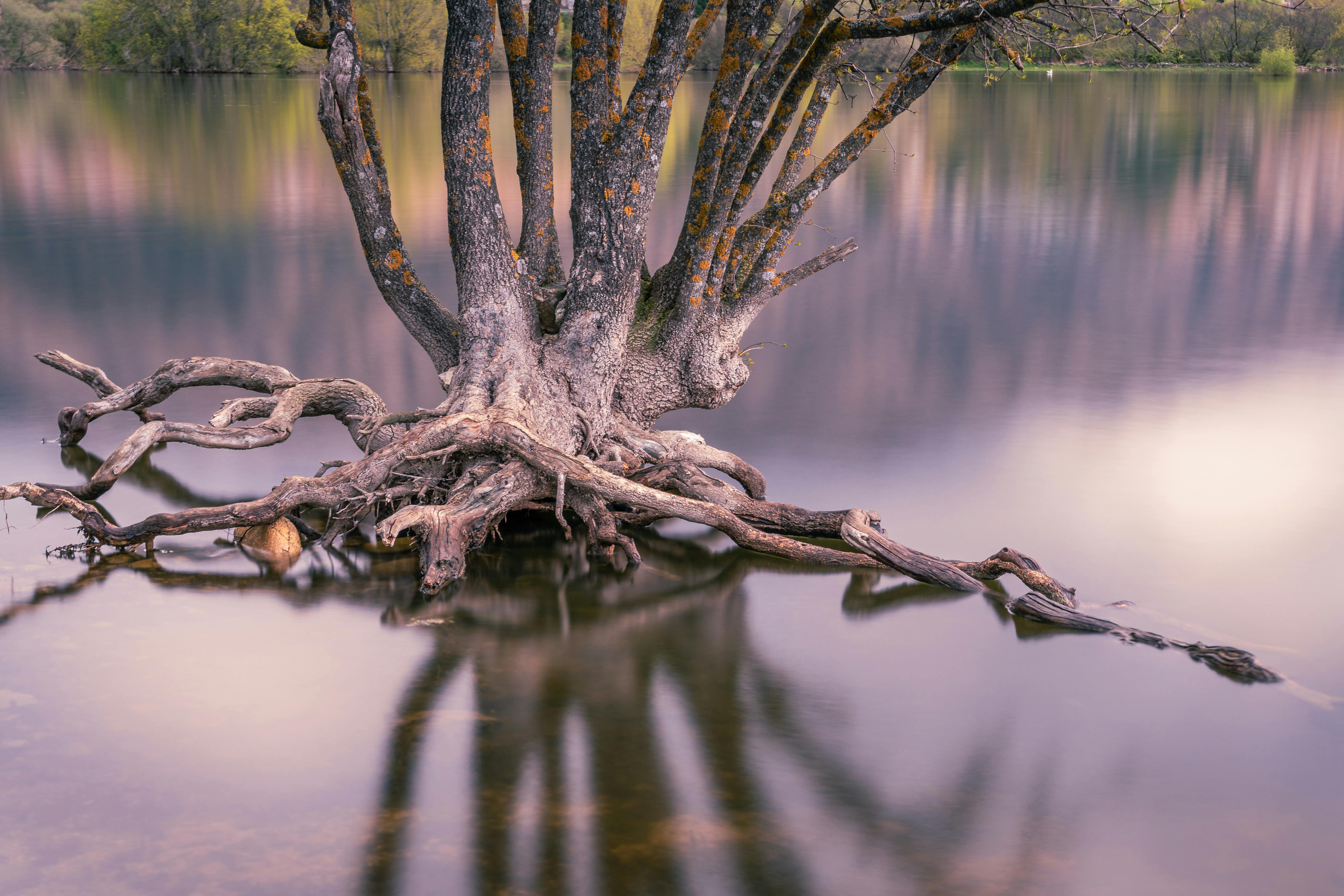 Background Sadi Photos, Download The BEST Free Background Sadi Stock ...